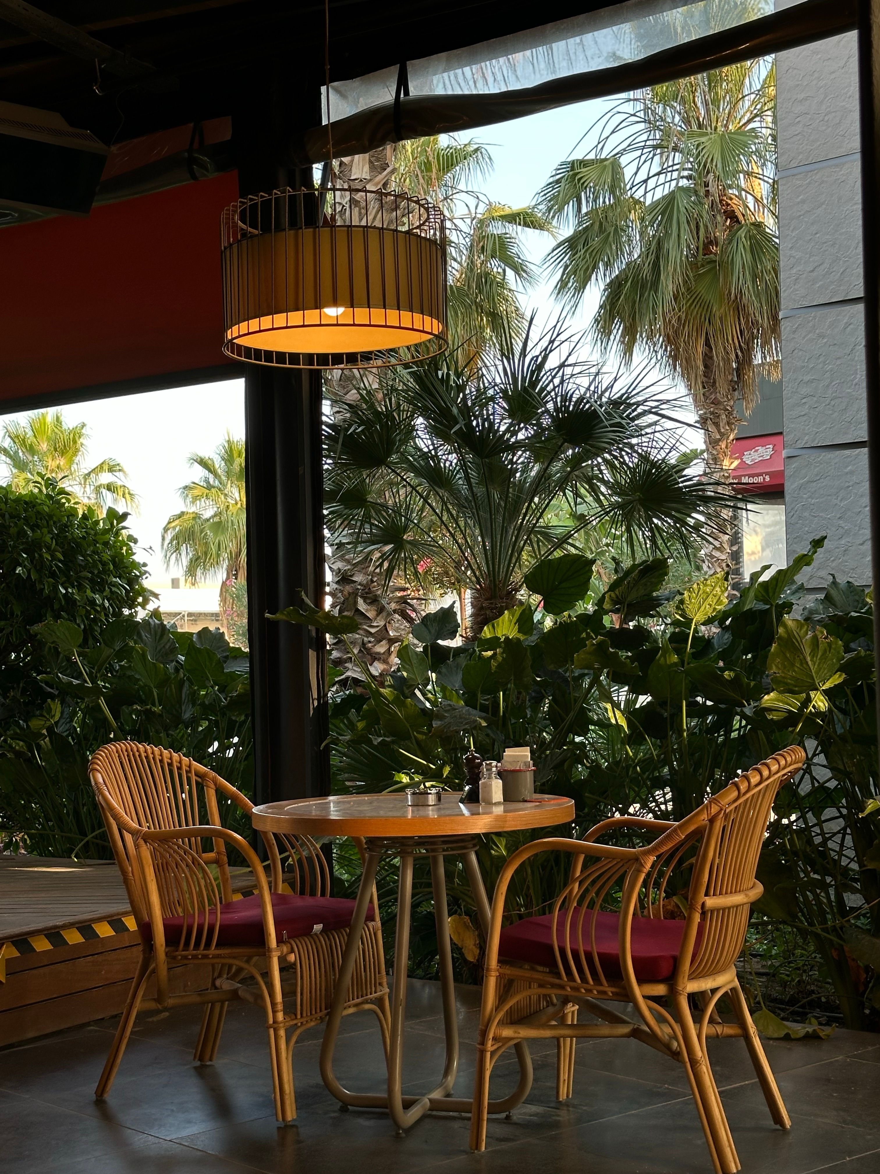 Cozy Outdoor Cafe with Rattan Chairs and Palm Trees · Free Stock Photo