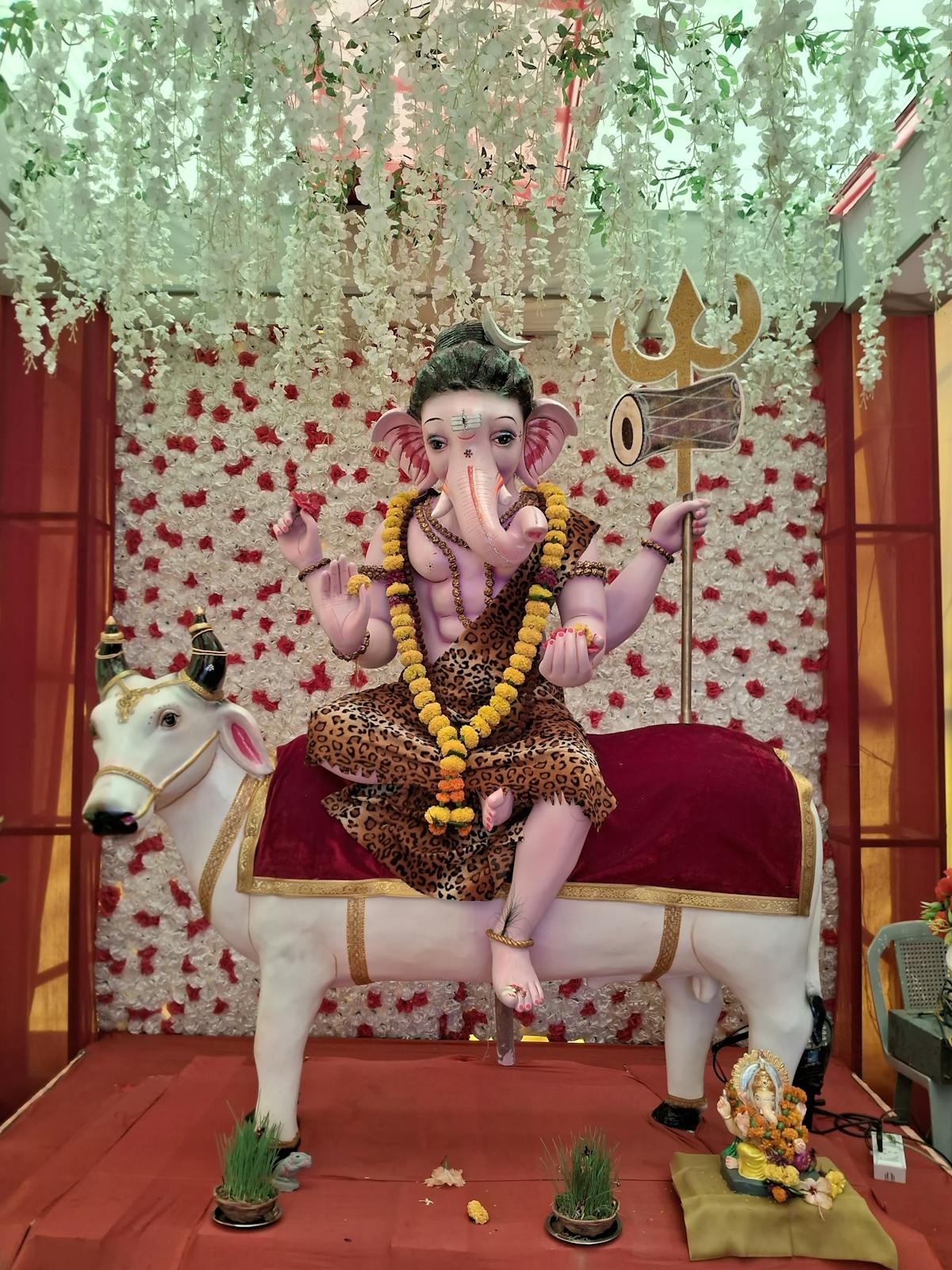 Gambar+Ikan+Bayan+Untuk+Print Photos, Download The BEST Free Gambar ...