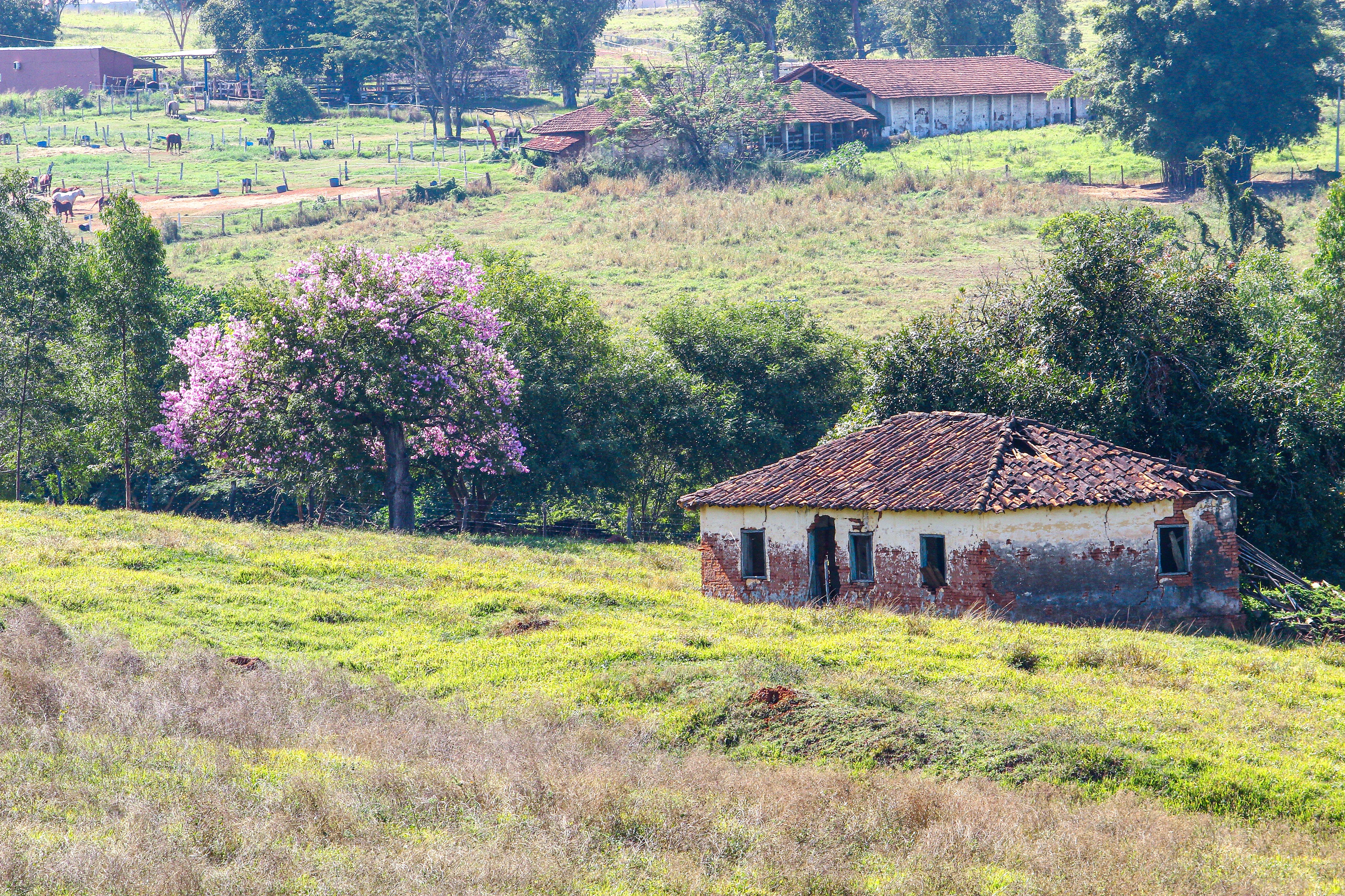 Rural Photos, Download The BEST Free Rural Stock Photos & HD Images