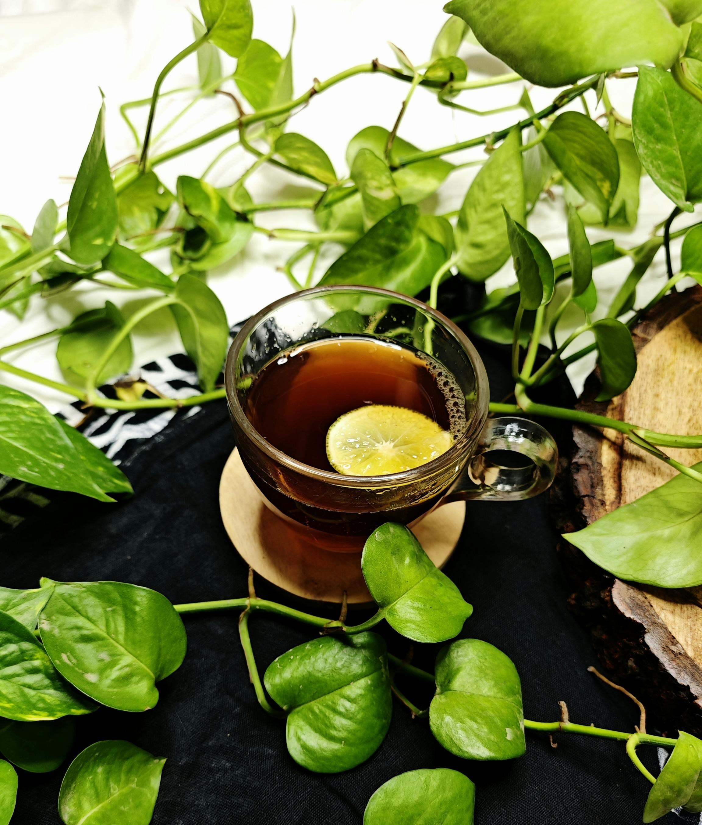 Beading A Pothos Photos, Download The BEST Free Beading A Pothos Stock ...