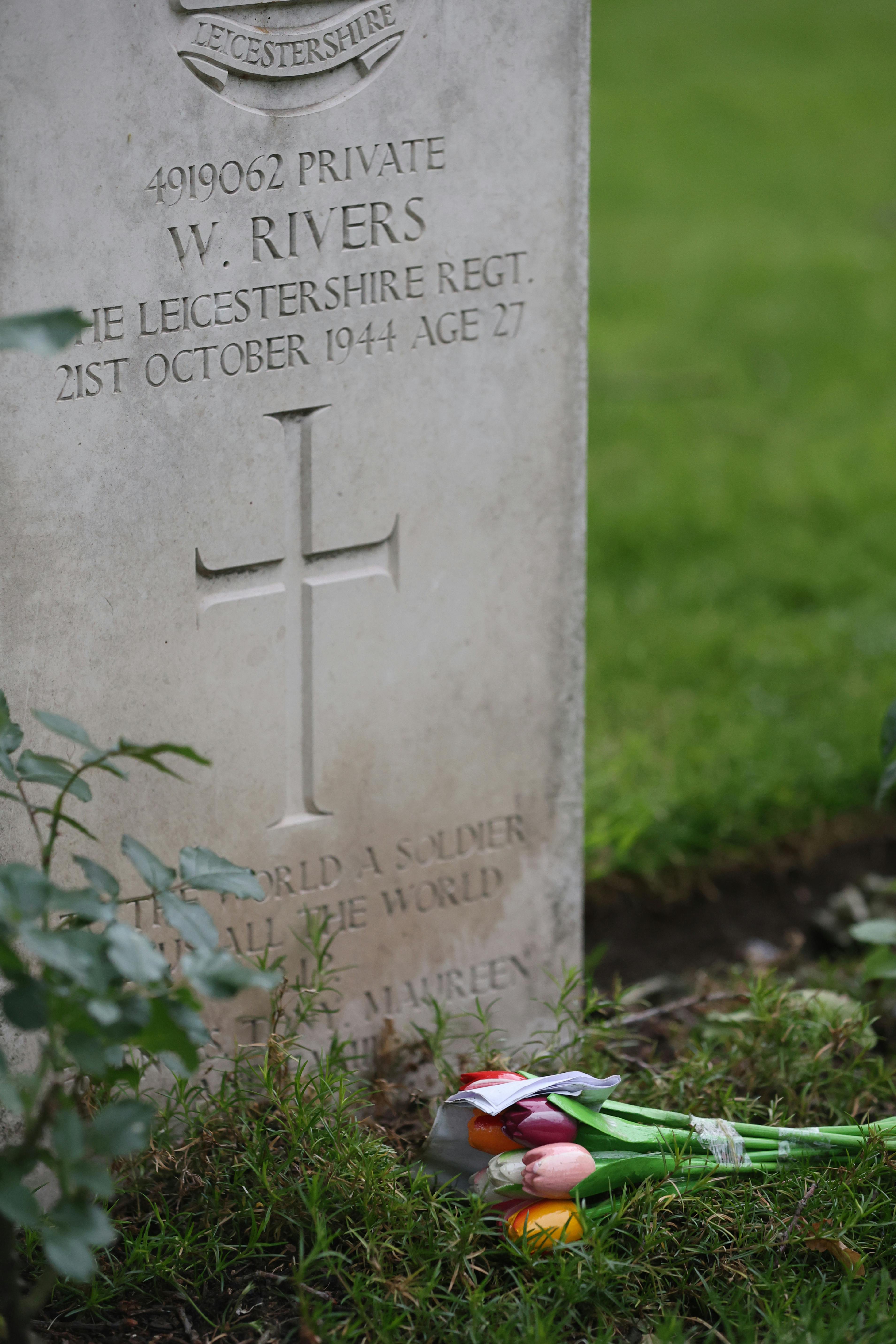 Tiv 2 Photos, Download The BEST Free Tiv 2 Stock Photos & HD Images