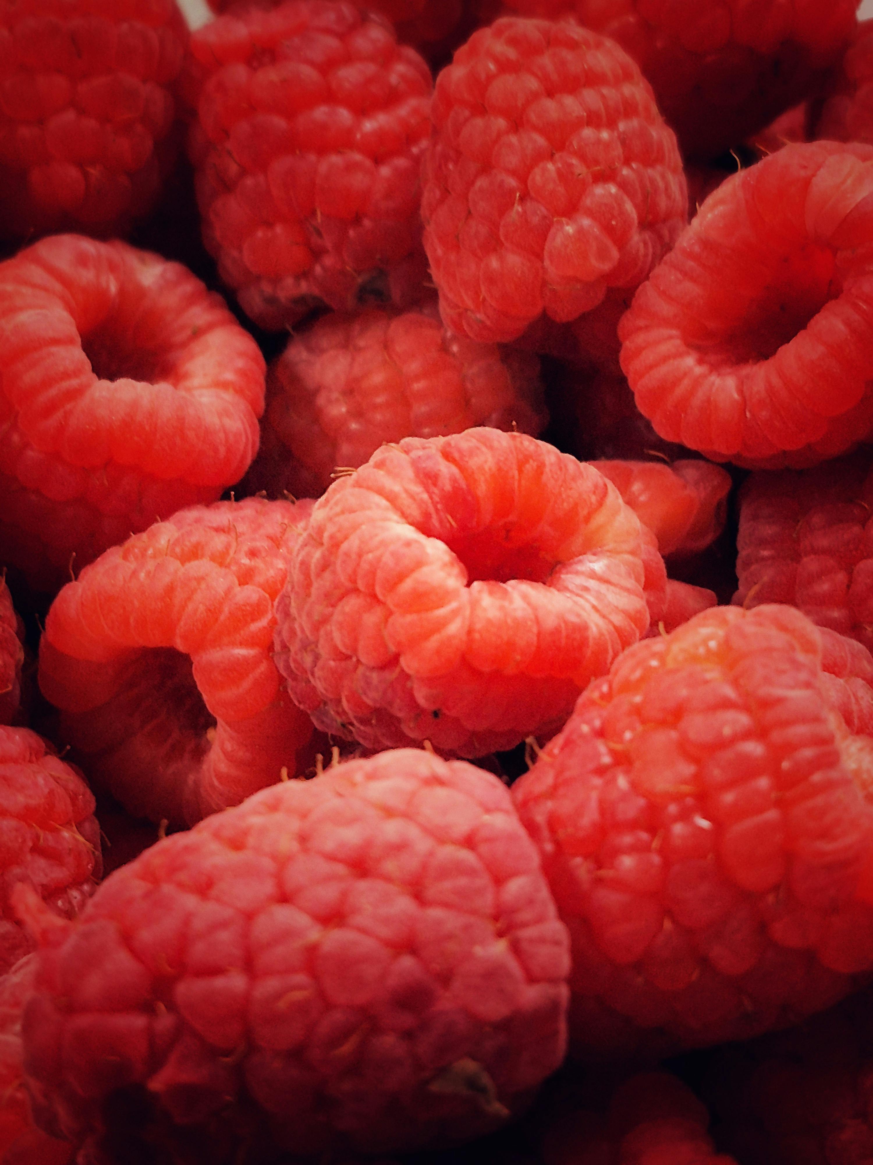 Macro Raspberry Photos, Download The BEST Free Macro Raspberry Stock ...