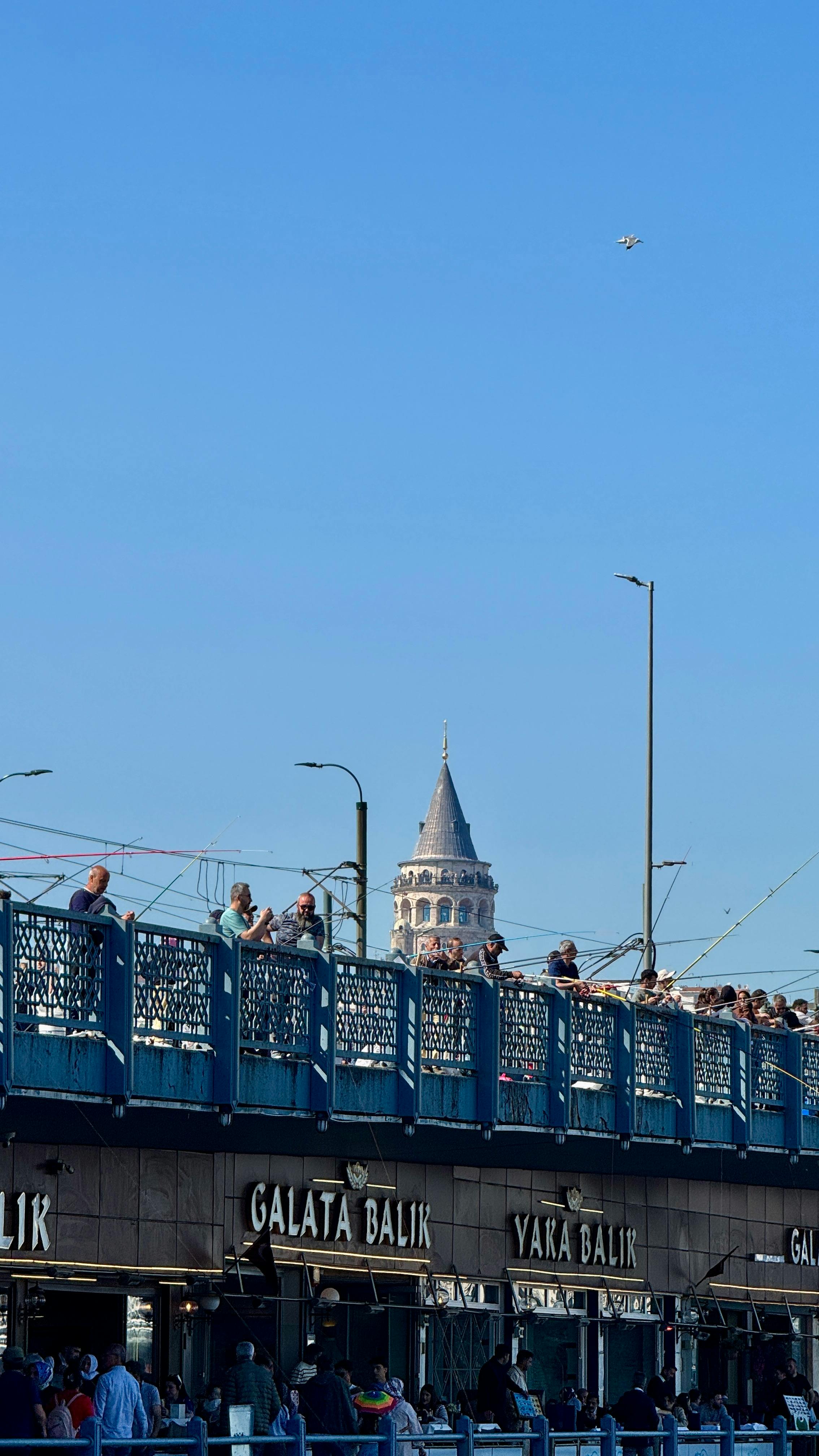 Sightseeing Landmarks Photos, Download The BEST Free Sightseeing ...