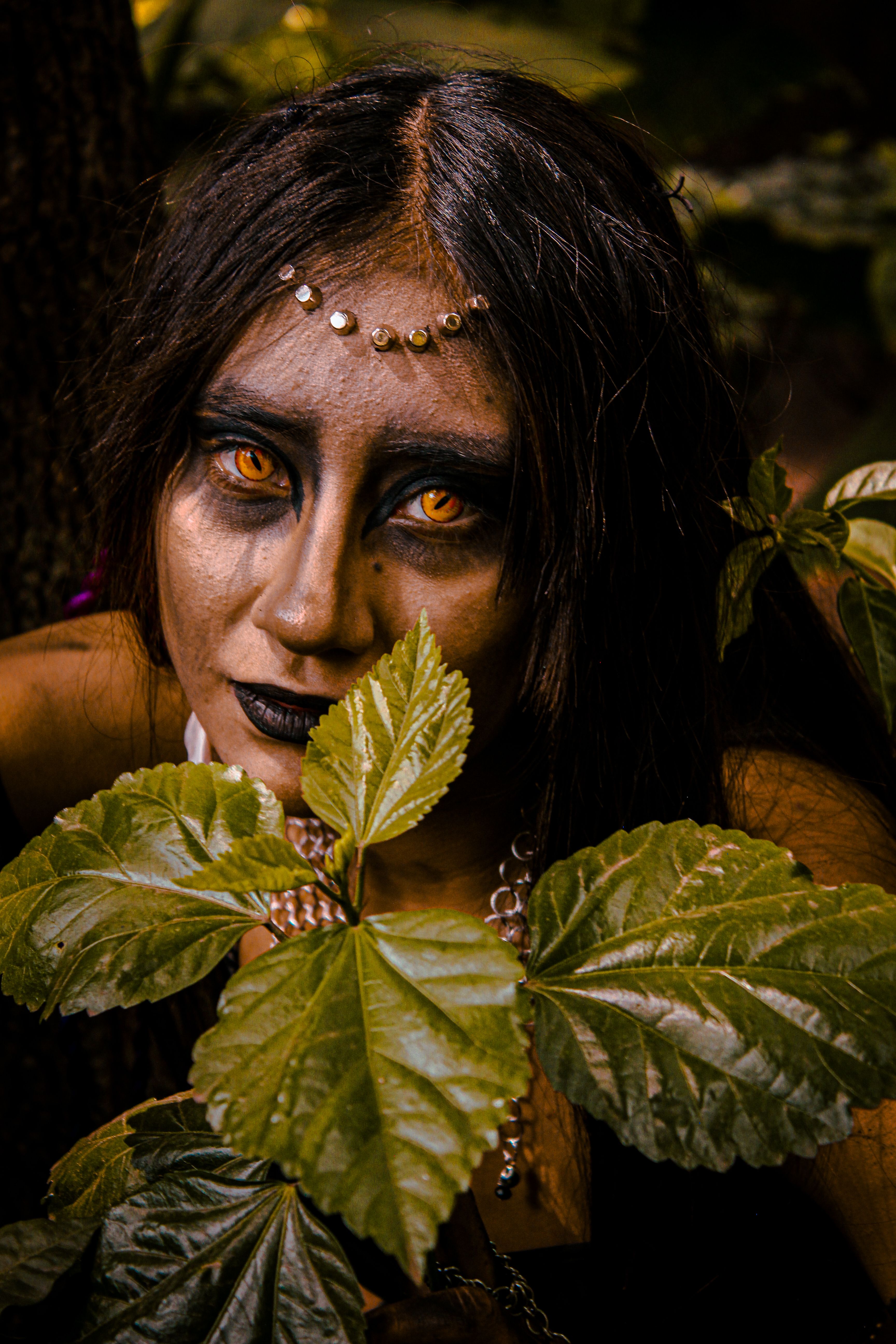 Mystical Cosplay in Forest Setting · Free Stock Photo
