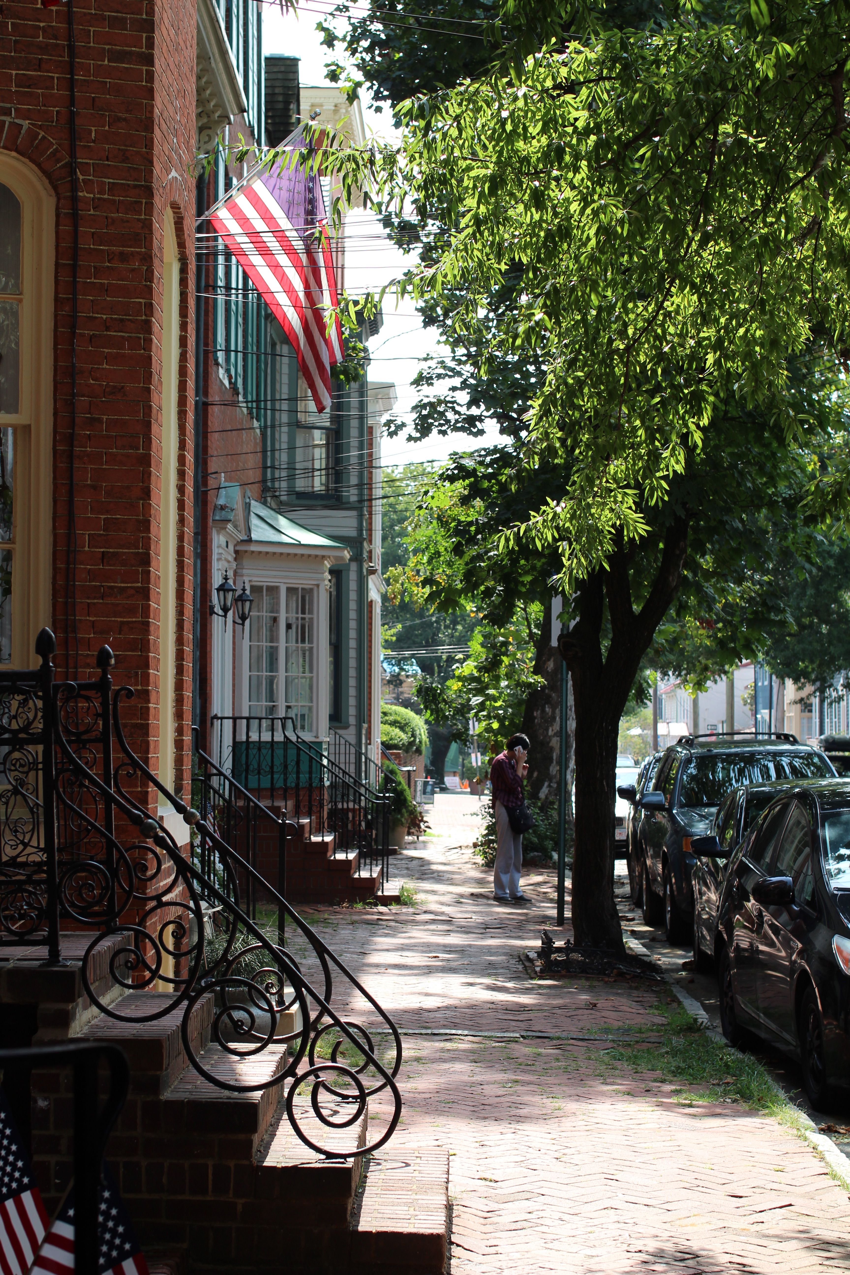 Charming Annapolis Street with American Flags · Free Stock Photo