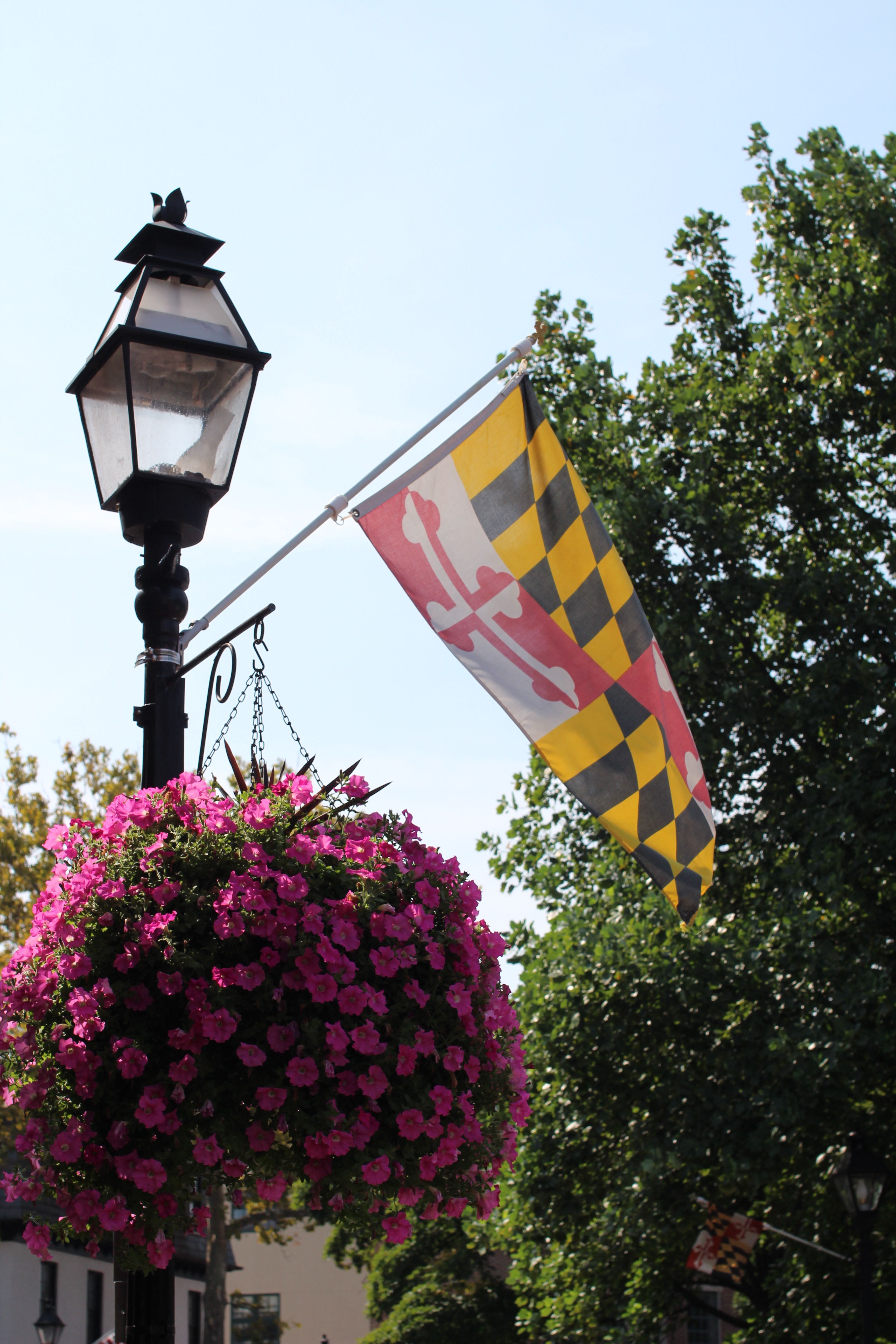 Charming Annapolis Street with Maryland Flag · Free Stock Photo