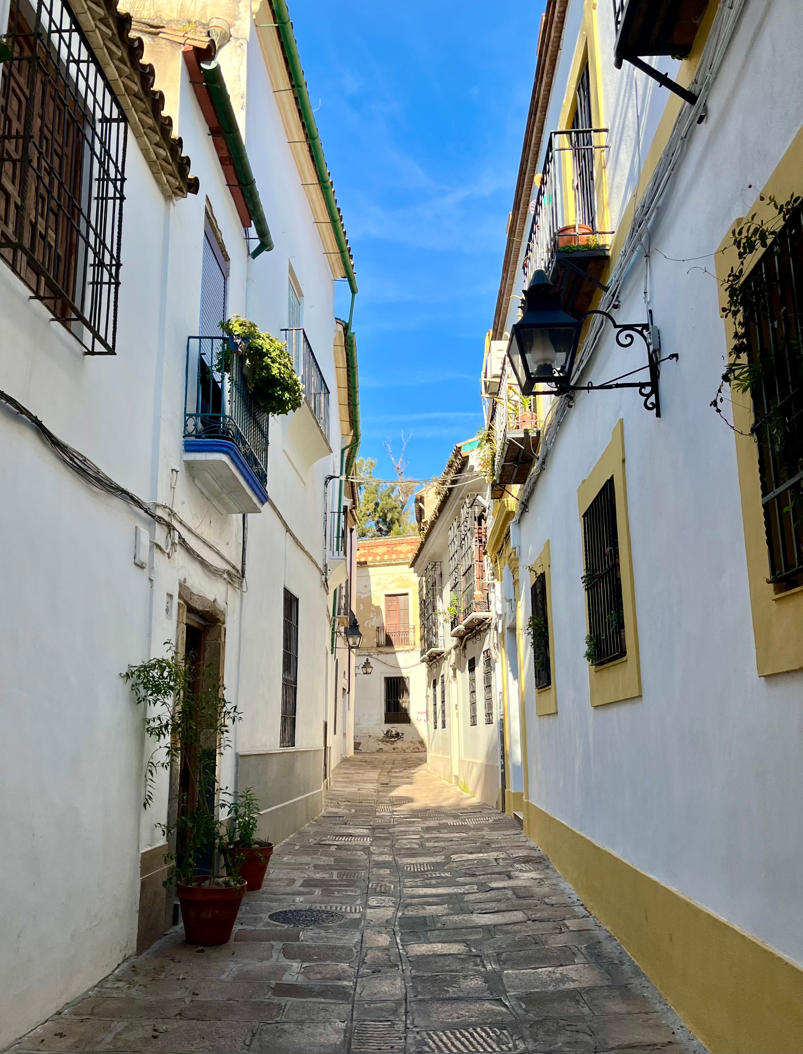Narrow Traditional Alleyway in Córdoba, Spain · Free Stock Photo