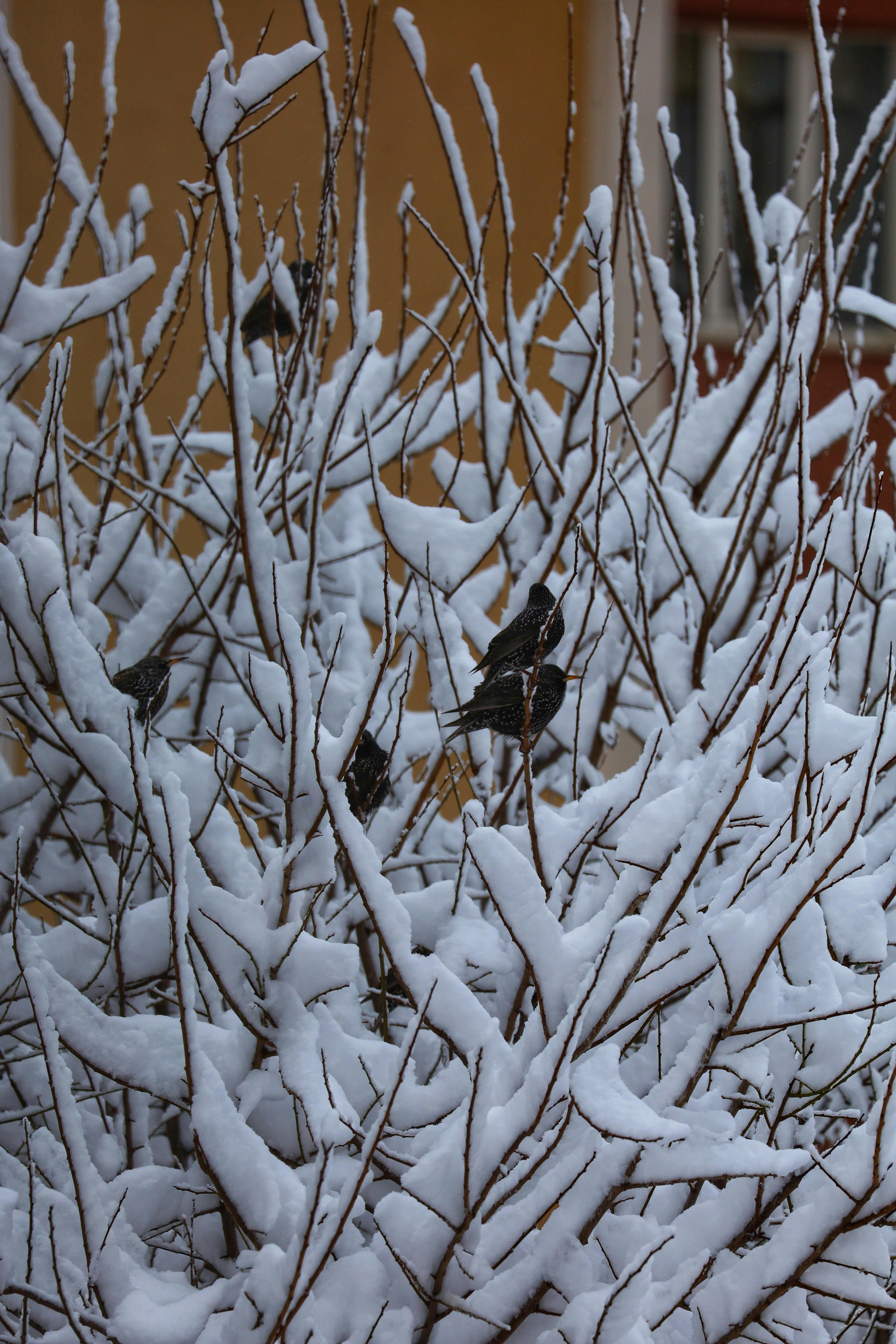 Freezing Photos, Download The BEST Free Freezing Stock Photos & HD Images