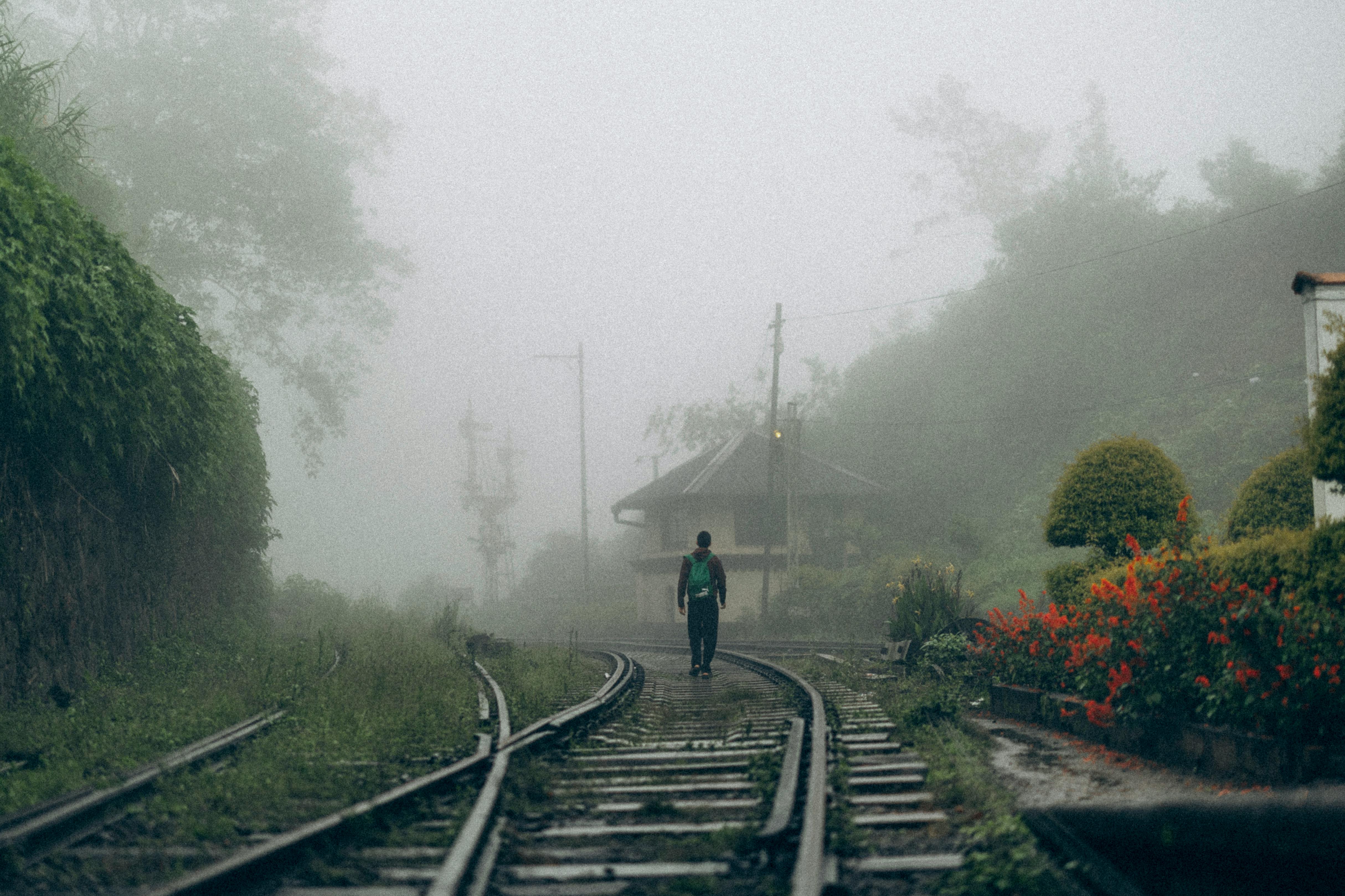 Nature Cinematic Photos Photos, Download The BEST Free Nature Cinematic ...