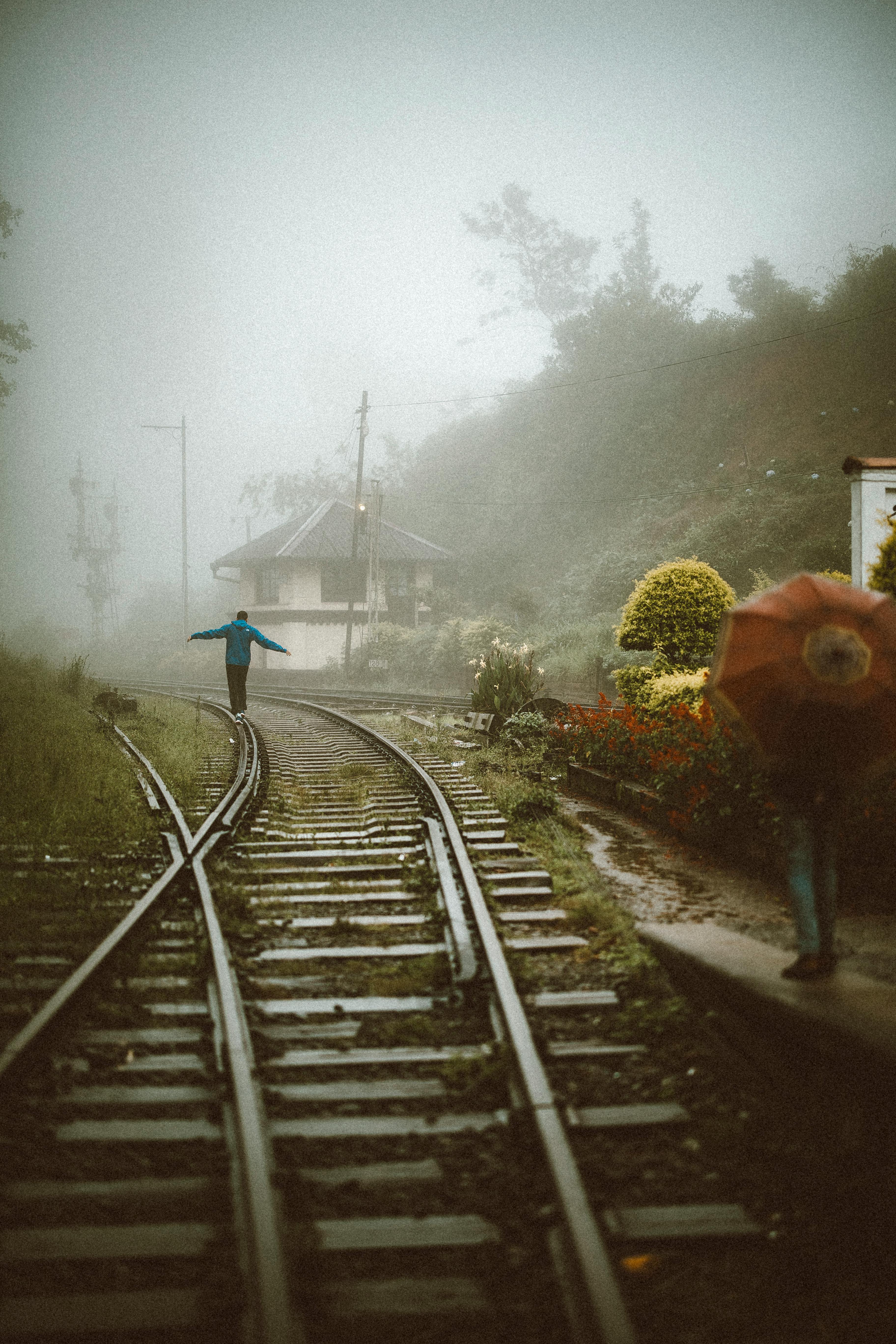 50mb Photos Photos, Download The BEST Free 50mb Photos Stock Photos ...