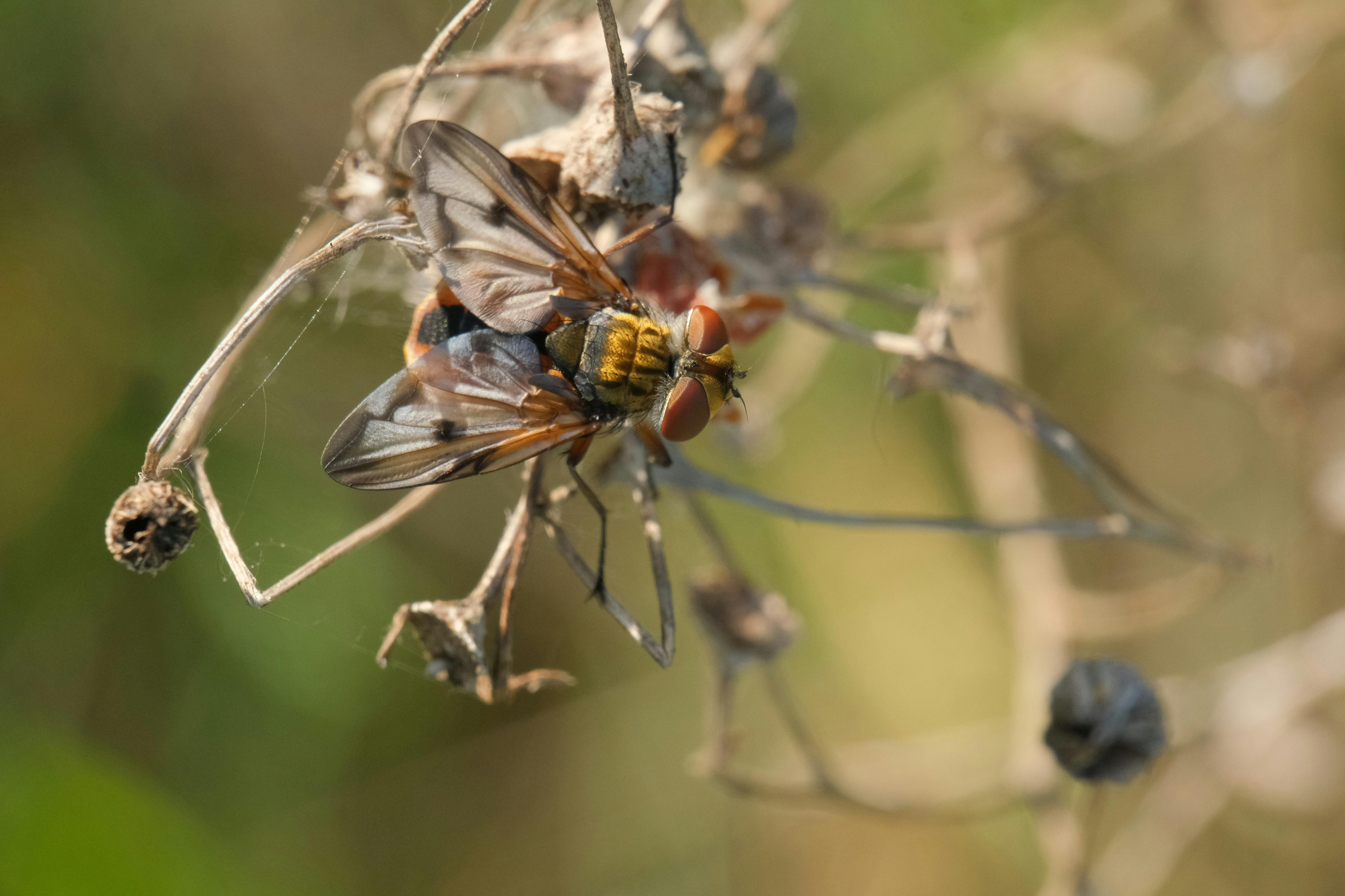 Behavior Photos, Download The BEST Free Behavior Stock Photos & HD Images