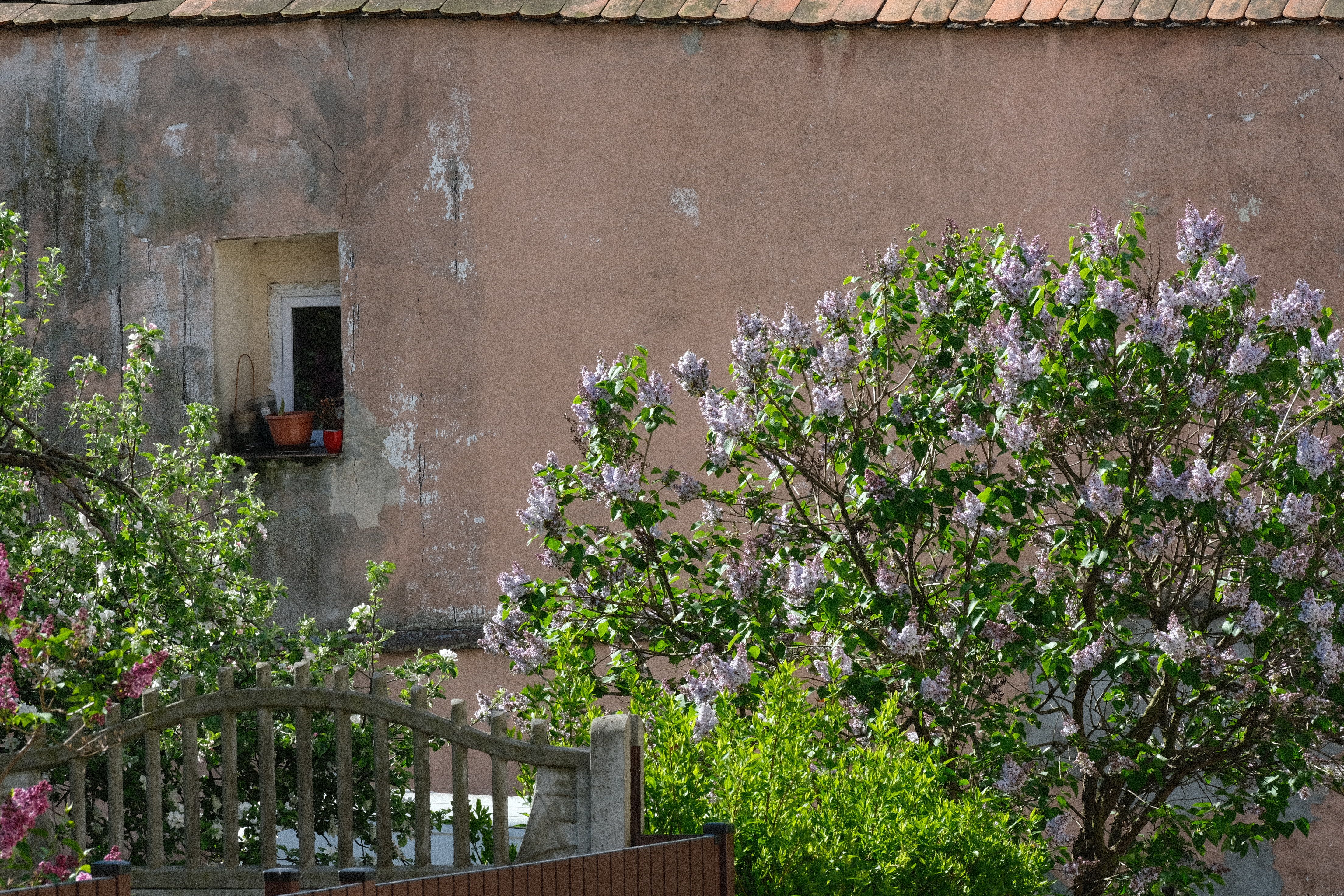 Beautiful House Exterior Landscape Photos, Download The BEST Free ...