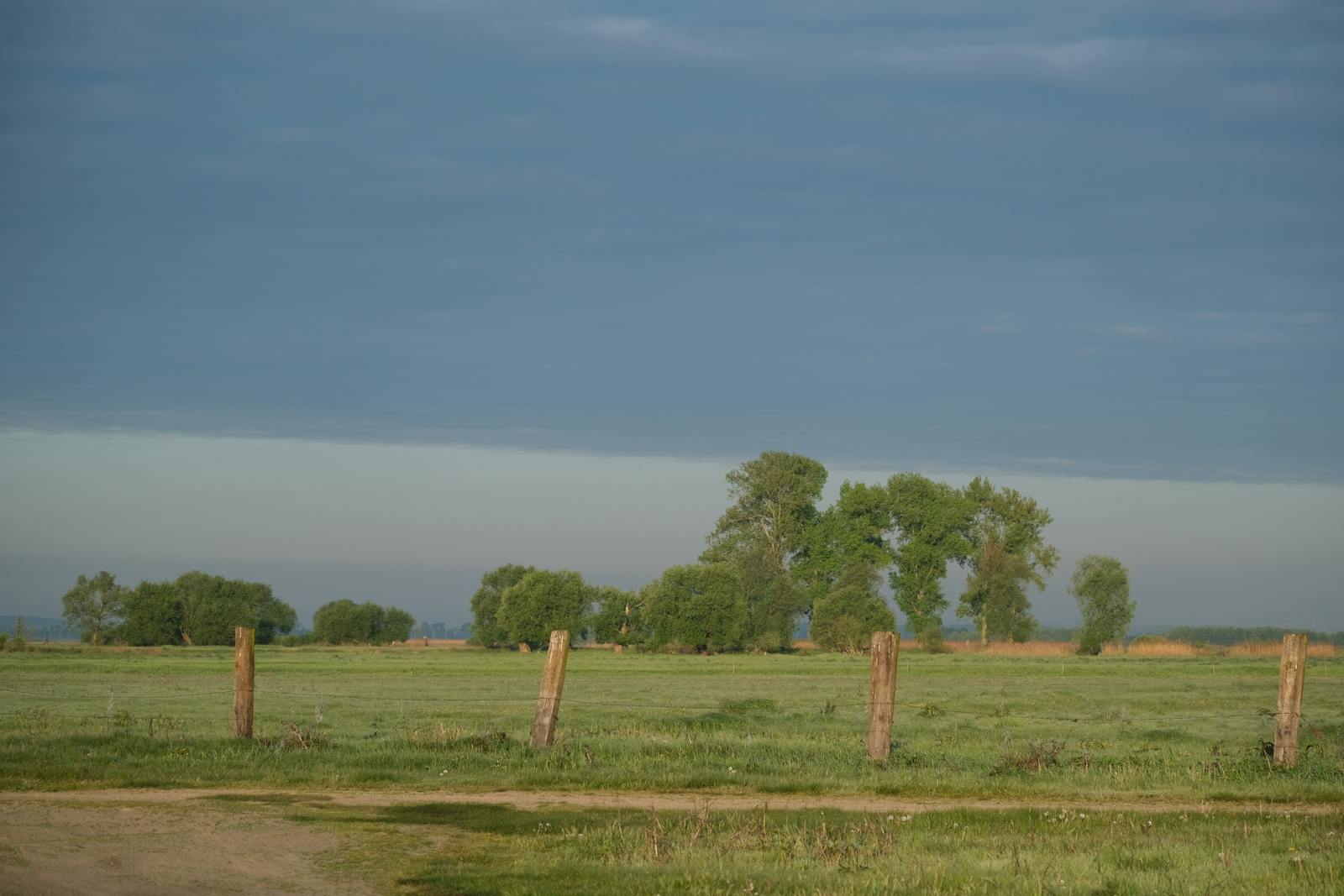 Tree Line Photos, Download The BEST Free Tree Line Stock Photos & HD Images