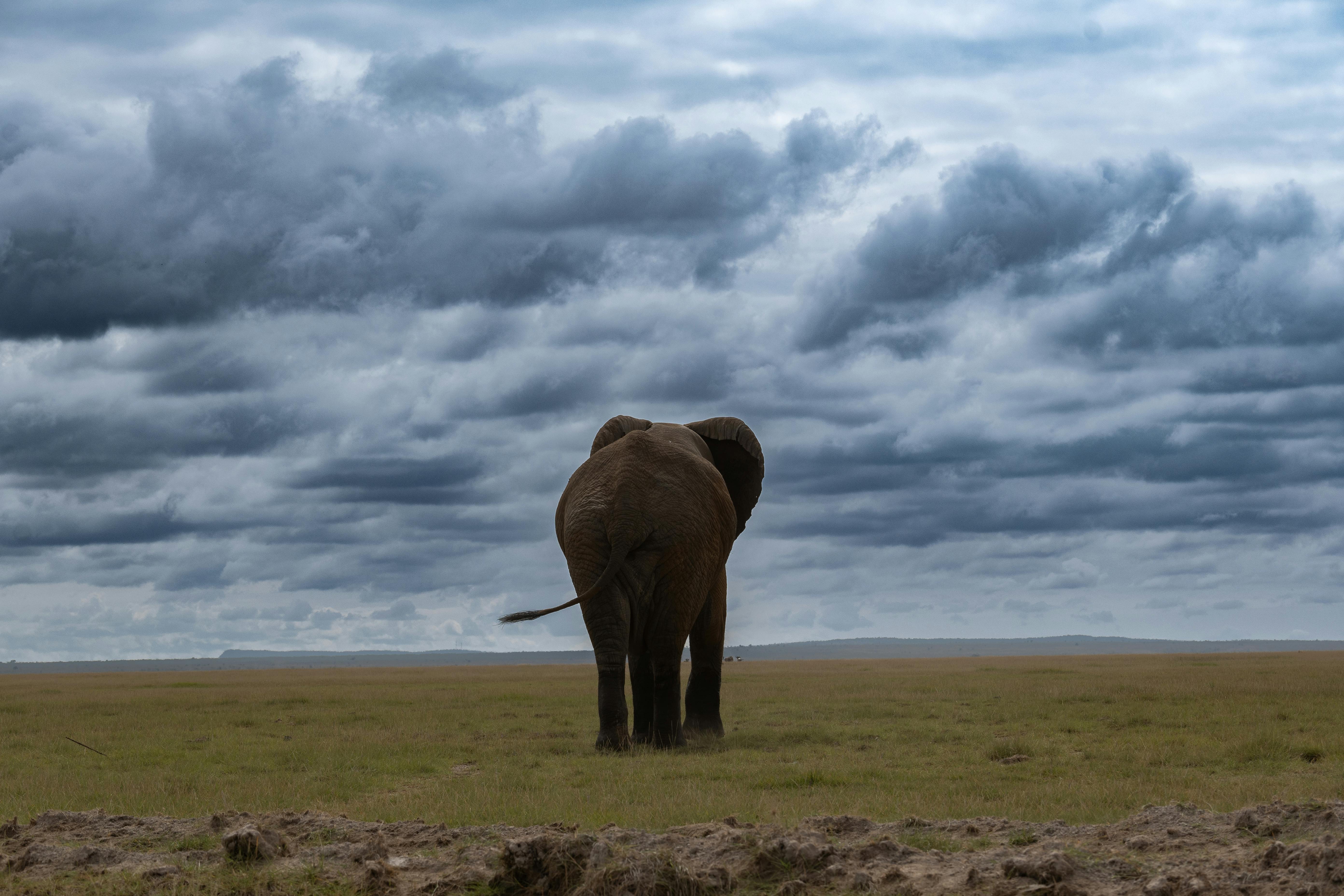 Talra Wildlife Sanctuary Photos, Download The BEST Free Talra Wildlife ...