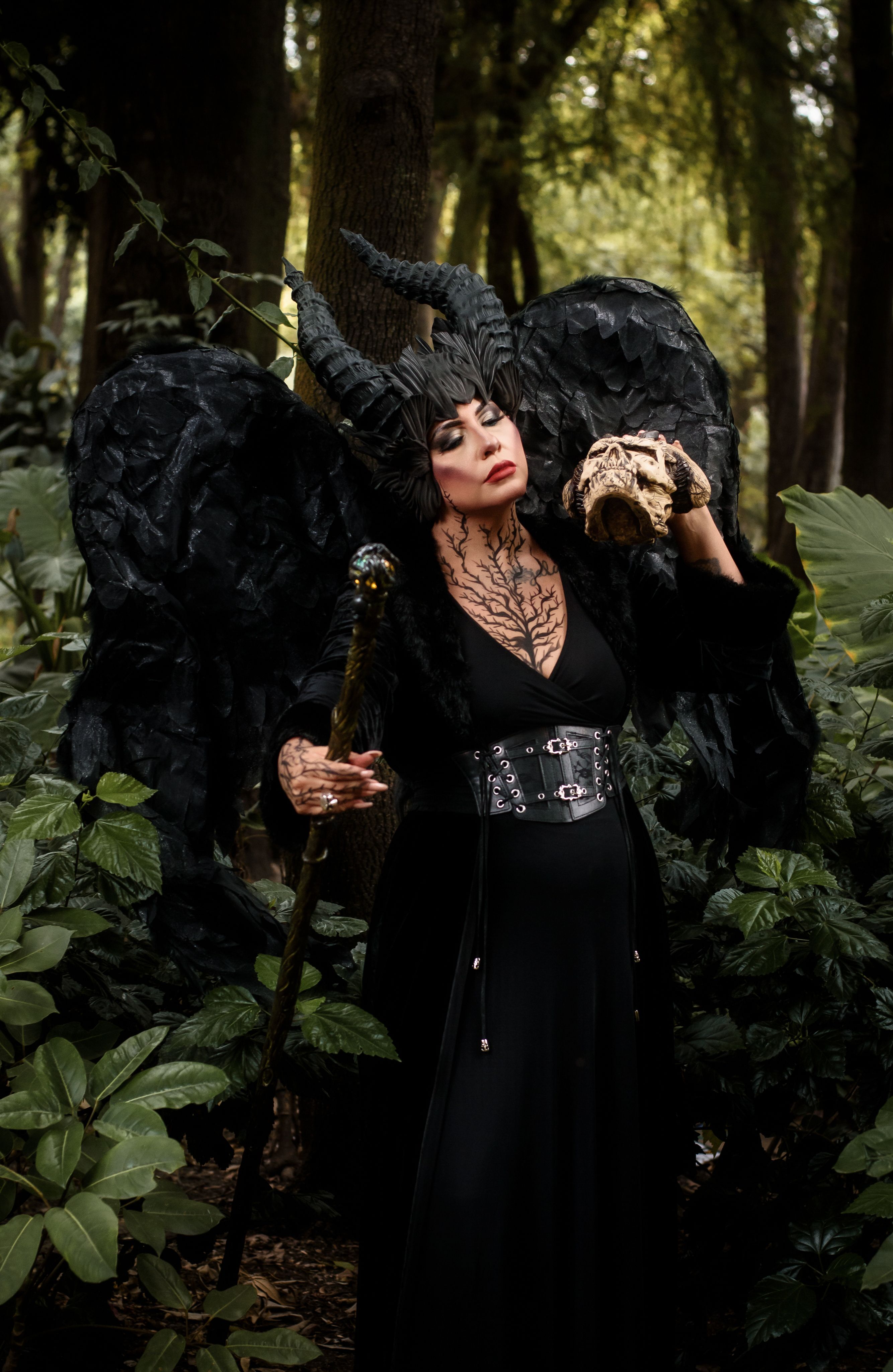 Evil Witch Photos, Download The BEST Free Evil Witch Stock Photos & HD ...