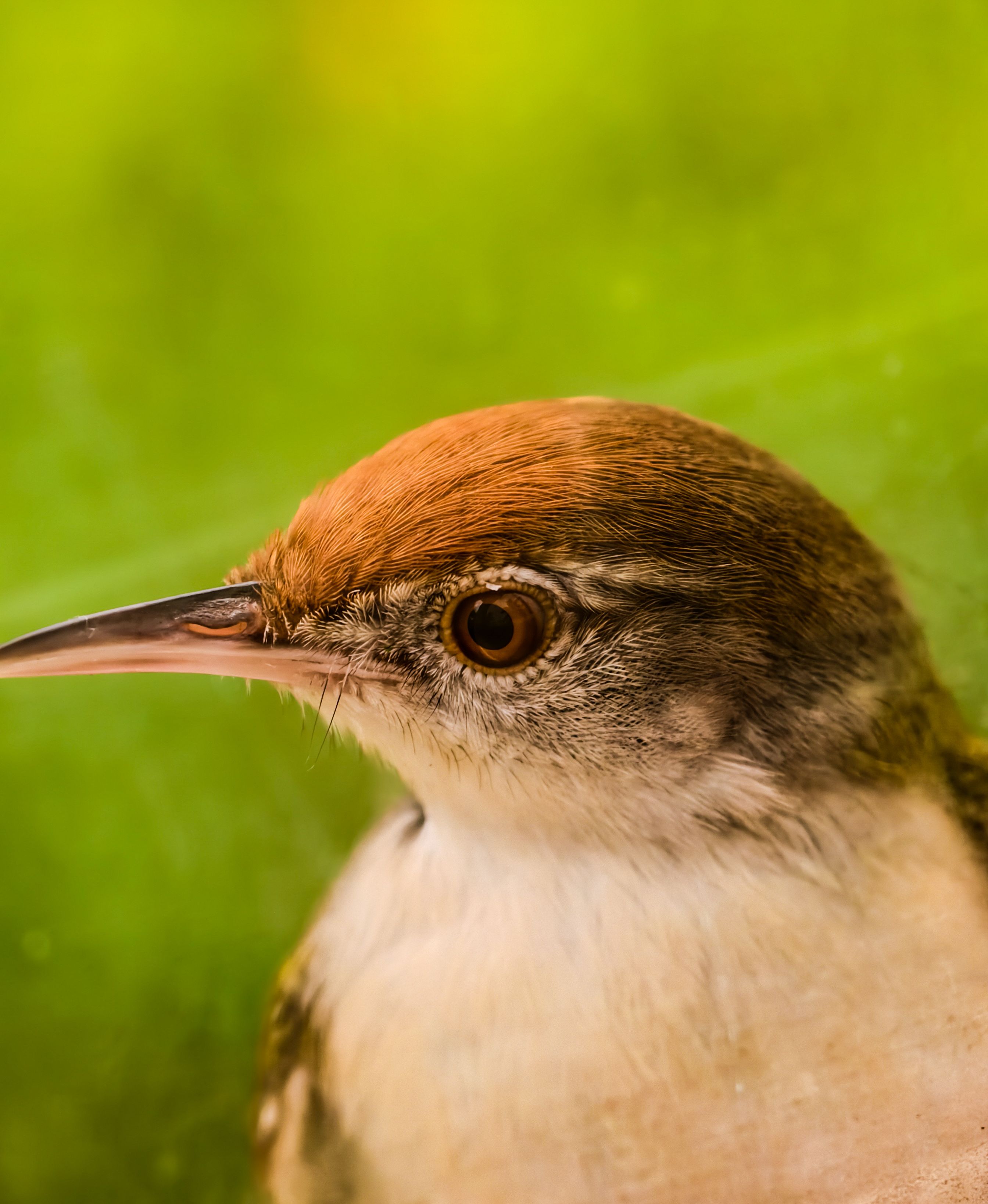 Eye Fatique Photos, Download The BEST Free Eye Fatique Stock Photos ...