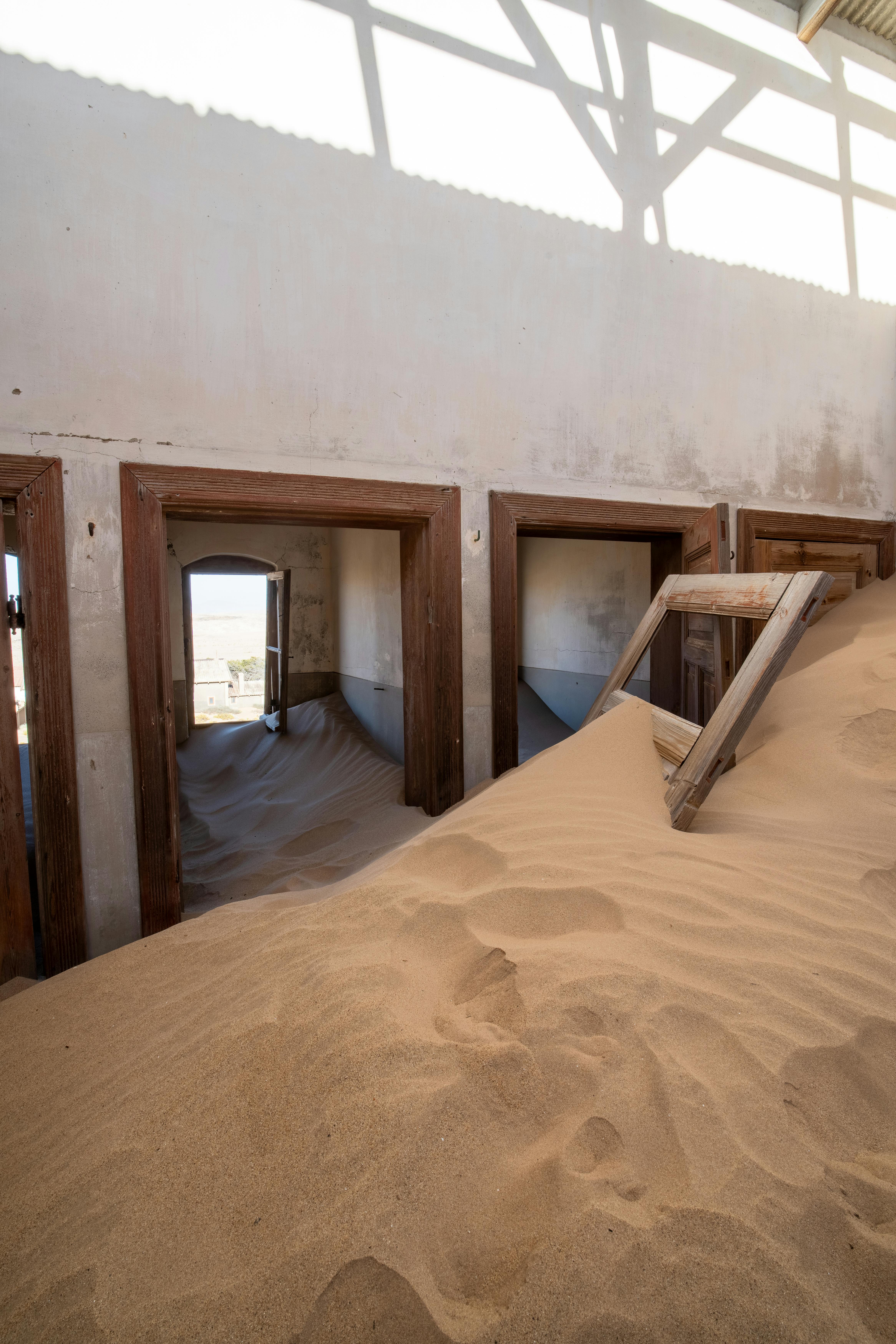 Quiver Tree Forest Namibia Photos, Download The BEST Free Quiver Tree ...