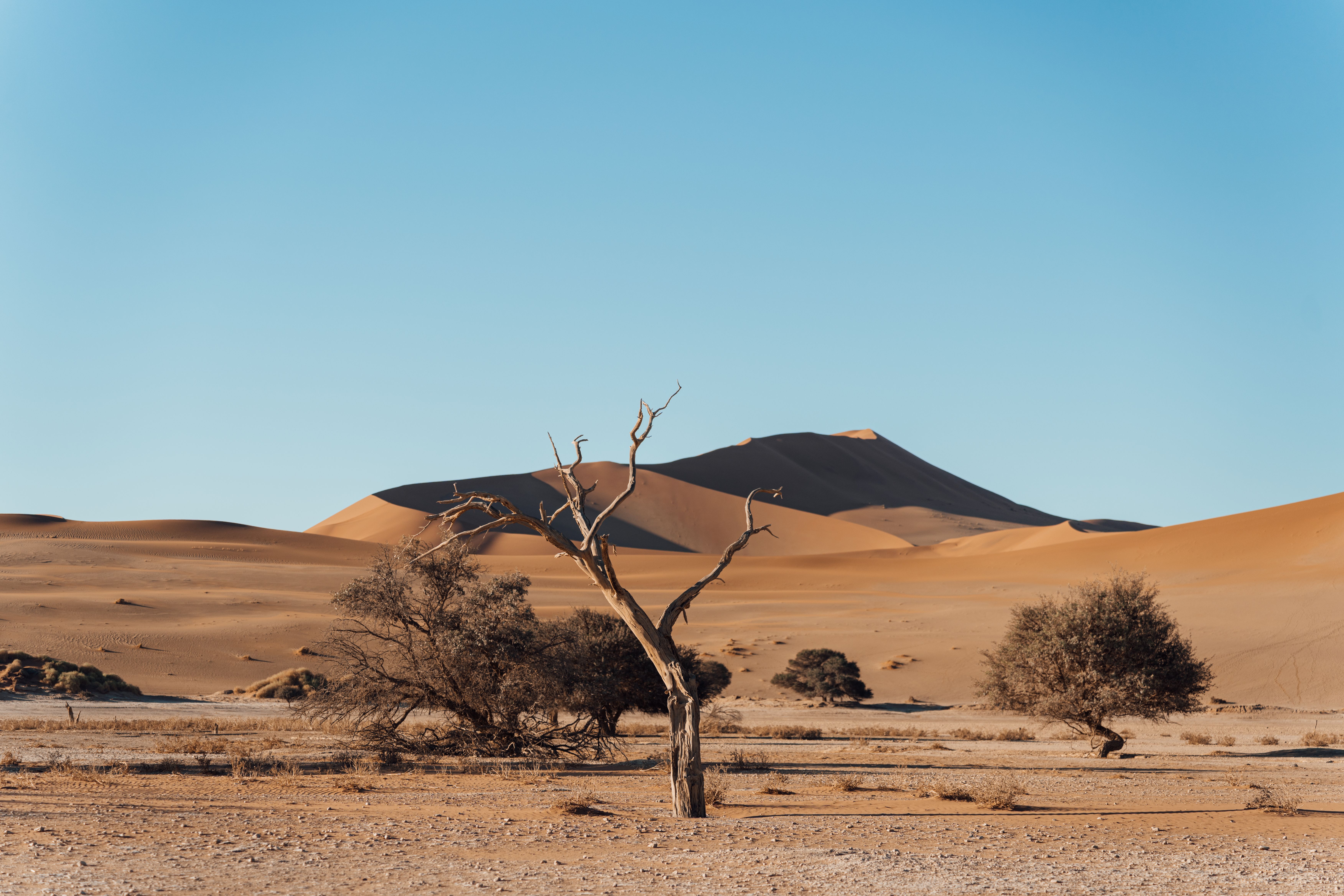 Barren Landscape Photos, Download The BEST Free Barren Landscape Stock ...