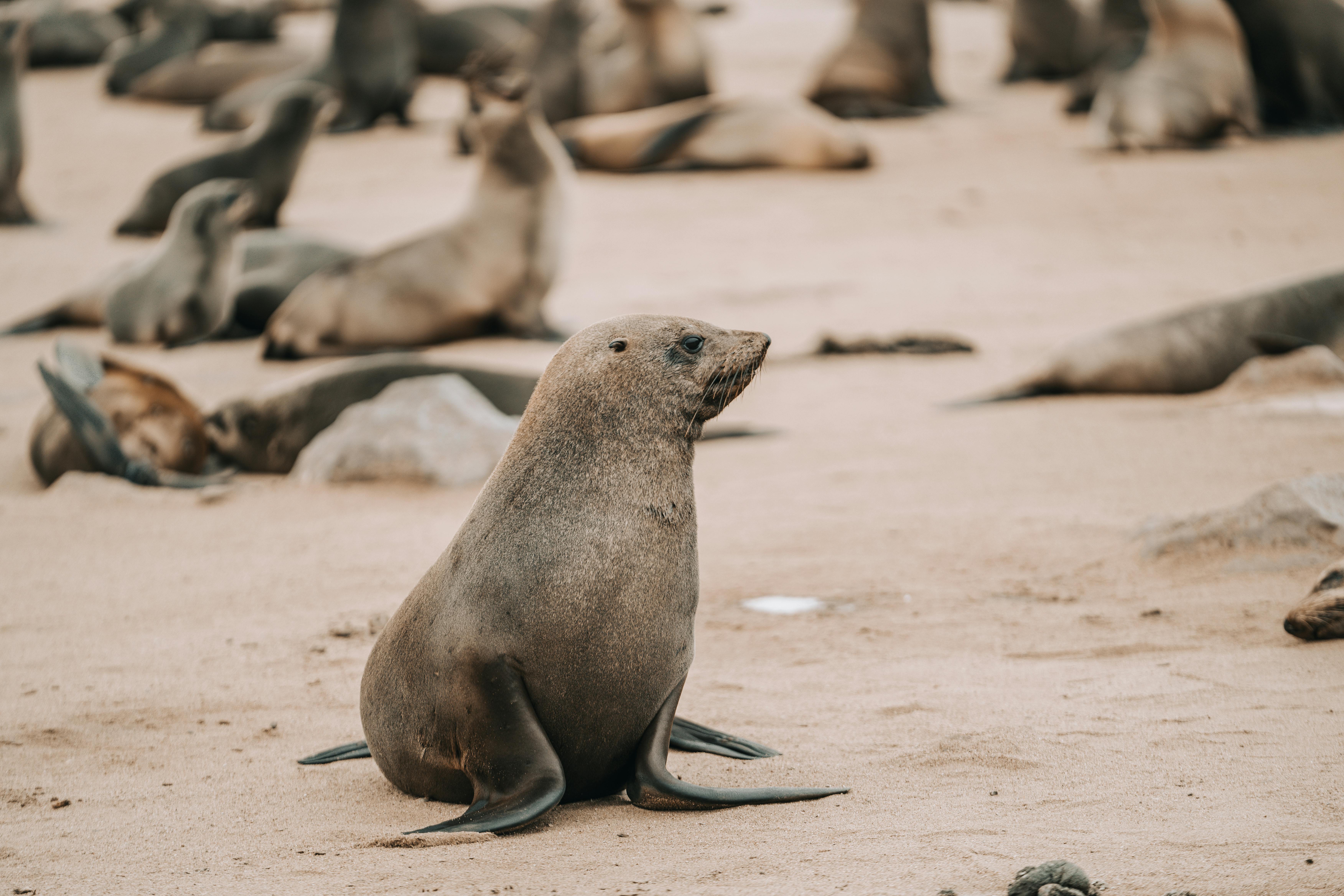 Really+Sus+Anime+Girls+No+Blur Photos, Download The BEST Free Really ...