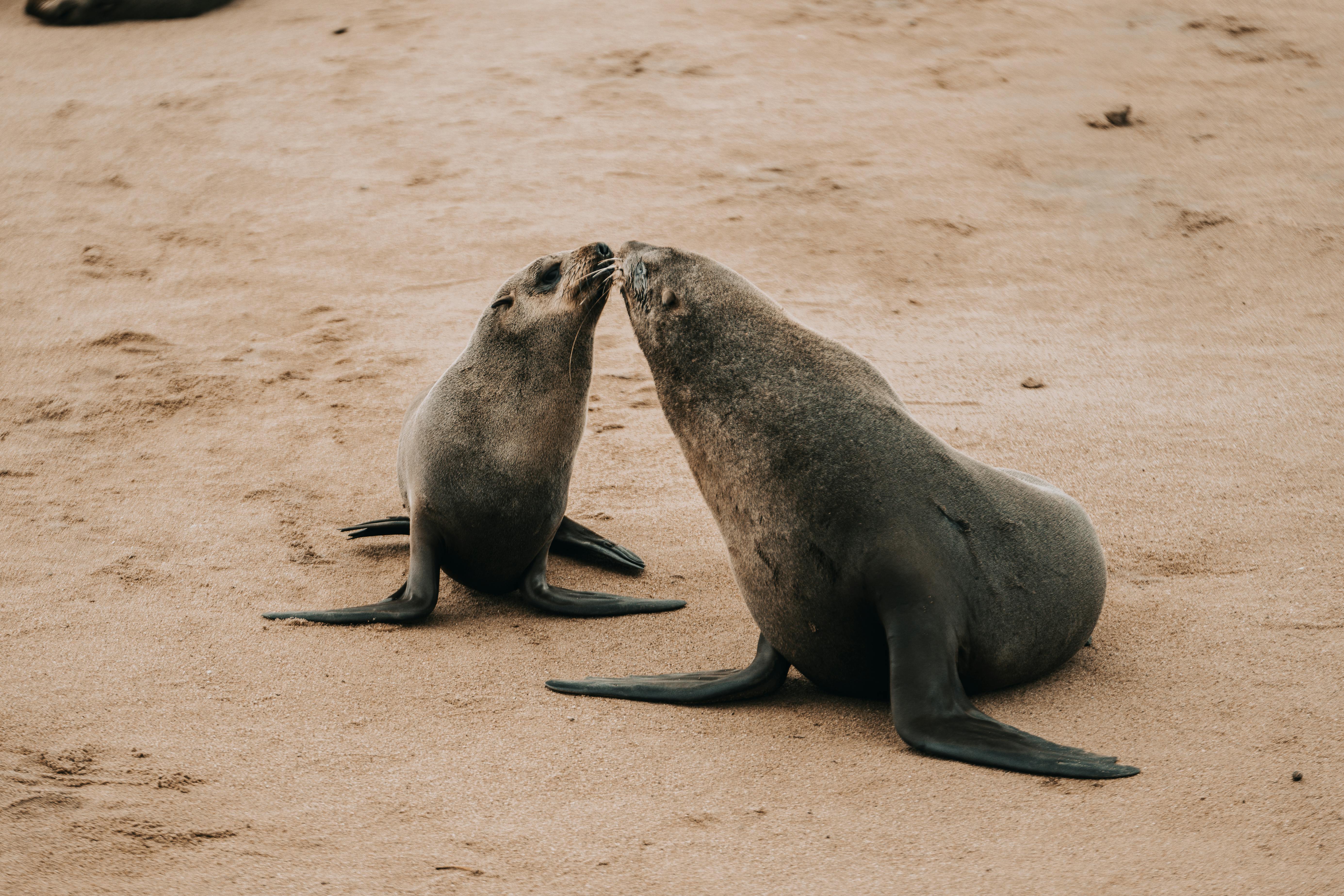 Sus+Girls+Real+Life Photos, Download The BEST Free Sus+Girls+Real+Life ...