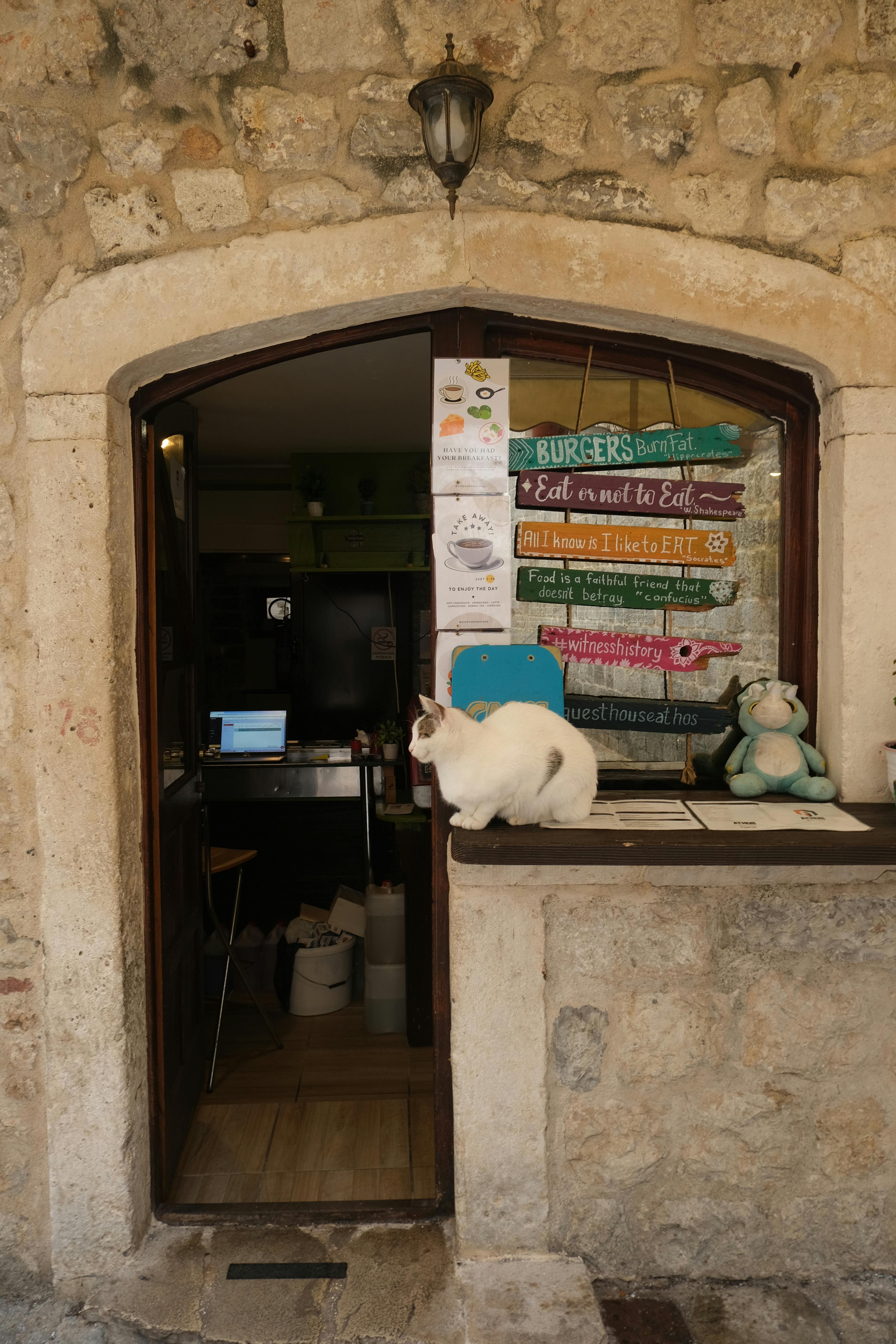 Pet Shop Photos, Download The BEST Free Pet Shop Stock Photos & HD Images