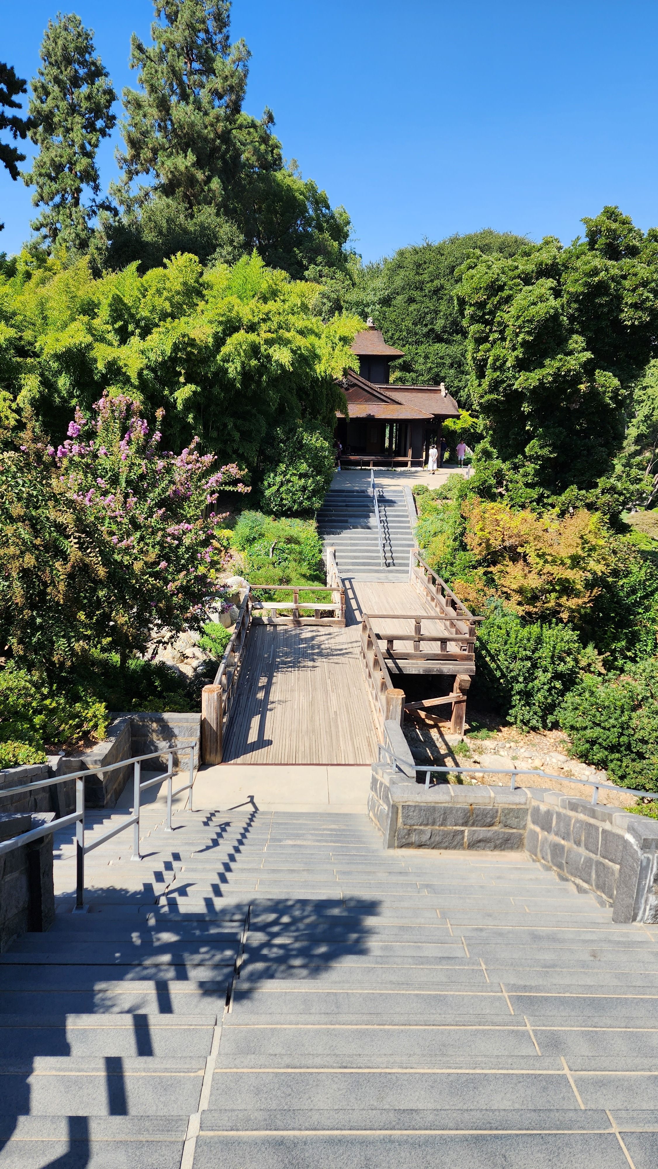 Serene Japanese Garden Pathway in Pasadena · Free Stock Photo