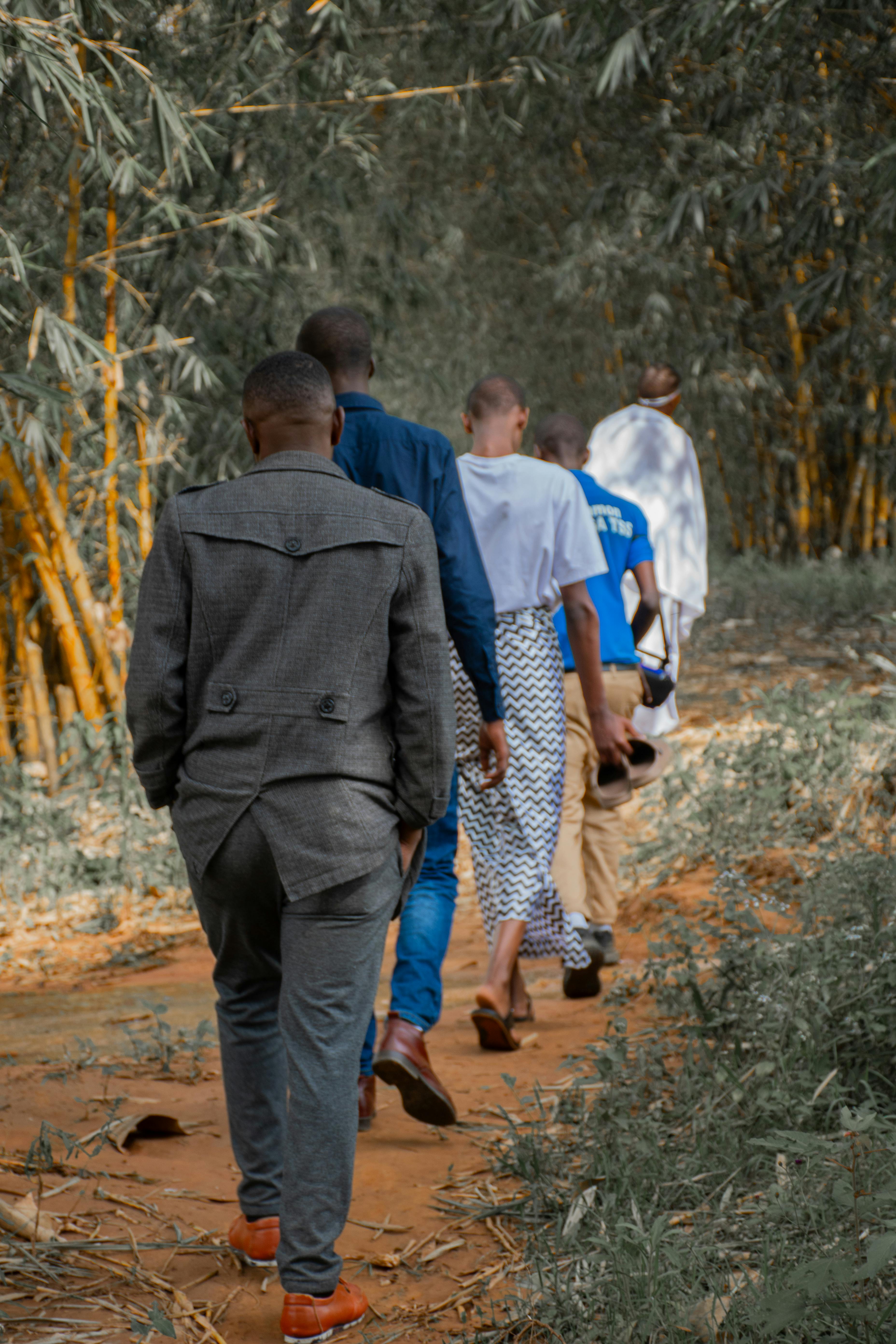 Forest Walk Photos, Download The BEST Free Forest Walk Stock Photos ...