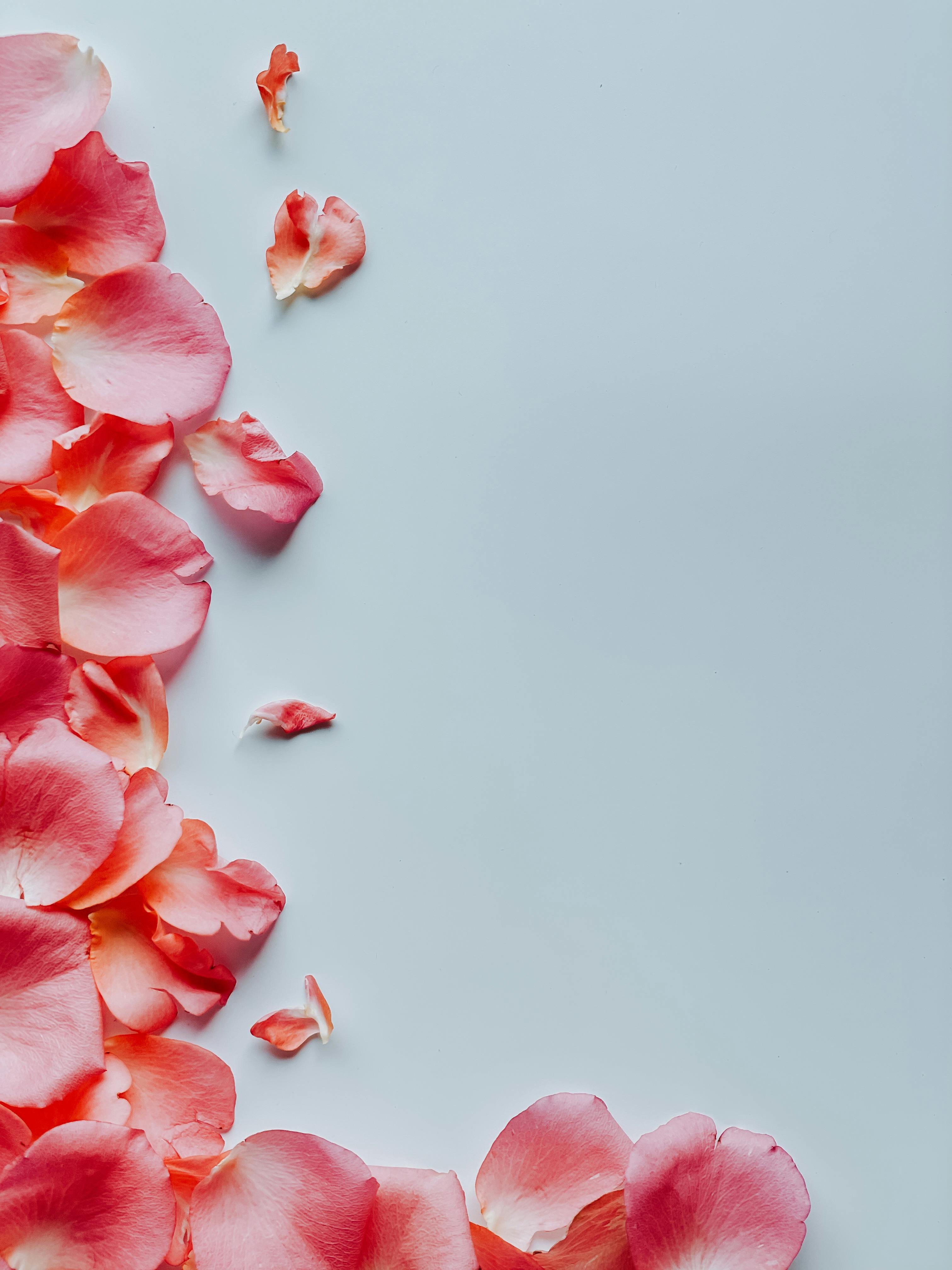 Beauty Parlour Background Photos, Download The BEST Free Beauty Parlour ...