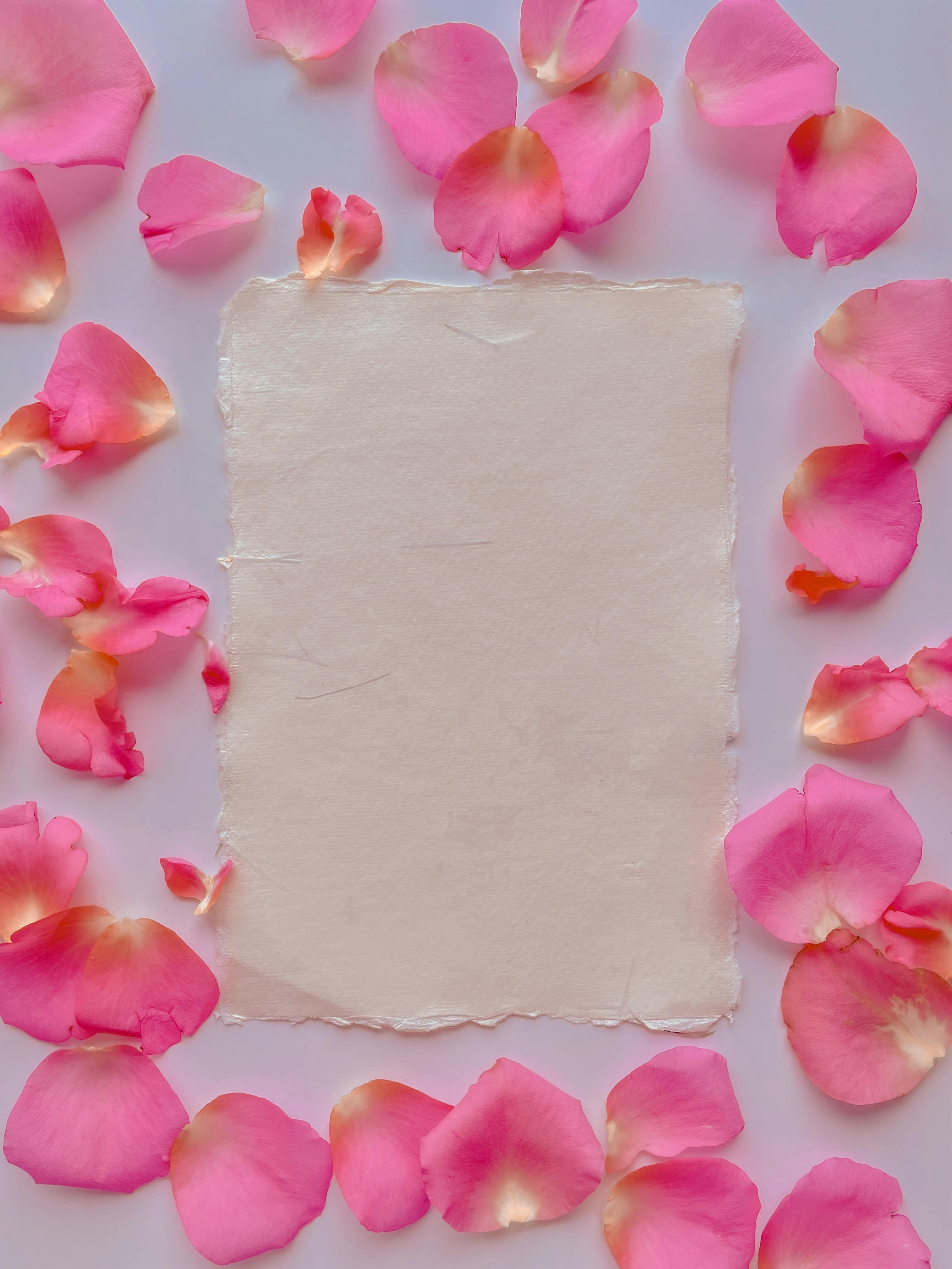 Greetings Card Border Design Photos, Download The BEST Free Greetings ...