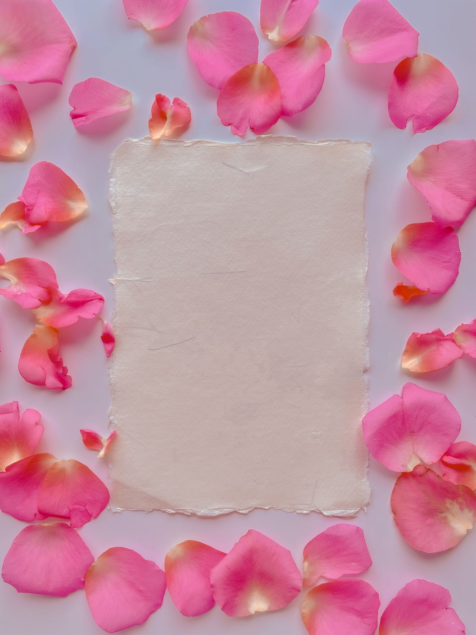 Paper Background Photos, Download The BEST Free Paper Background Stock ...