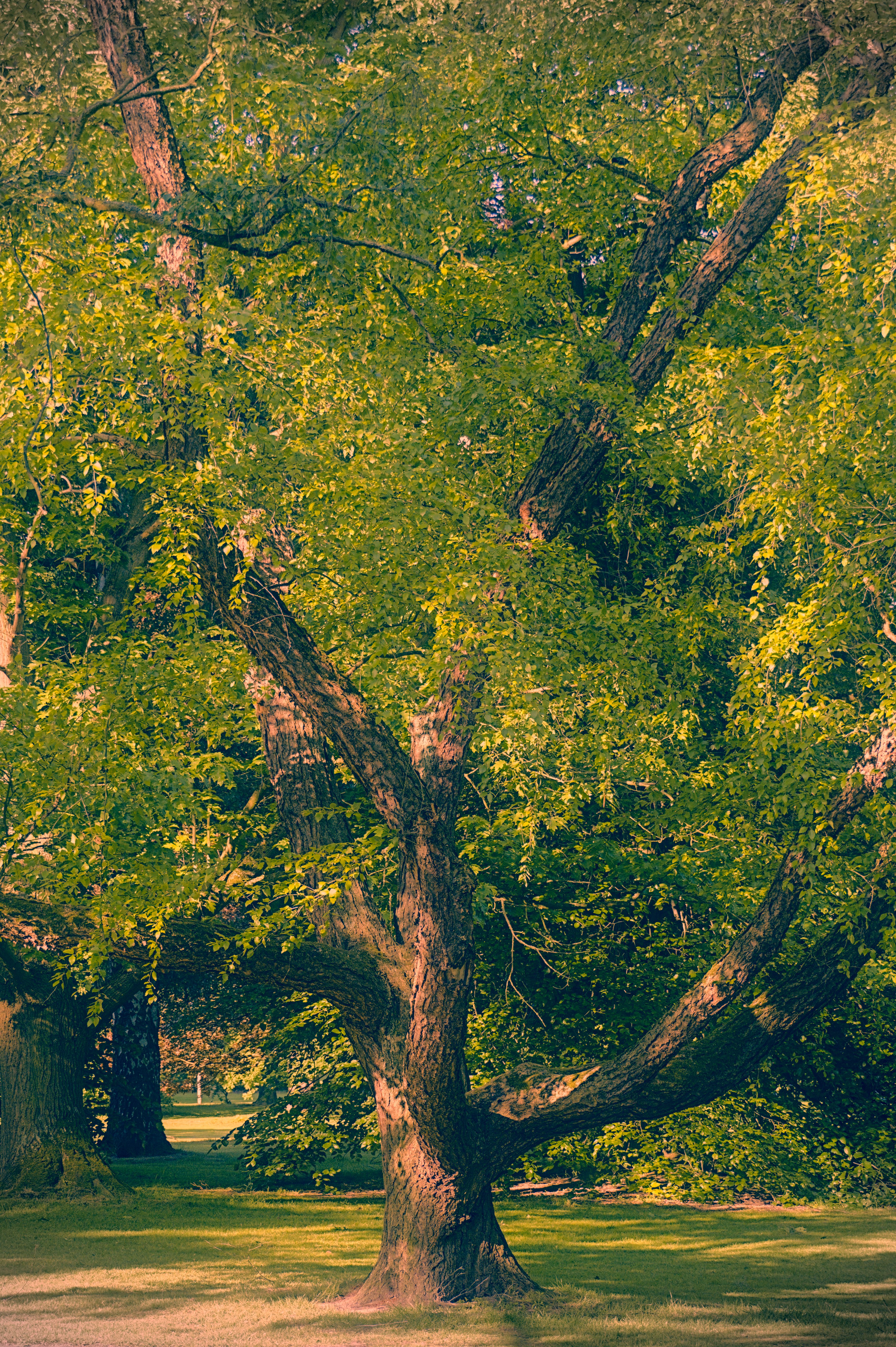 Statusrapporten Faul Grove Photos, Download The BEST Free ...