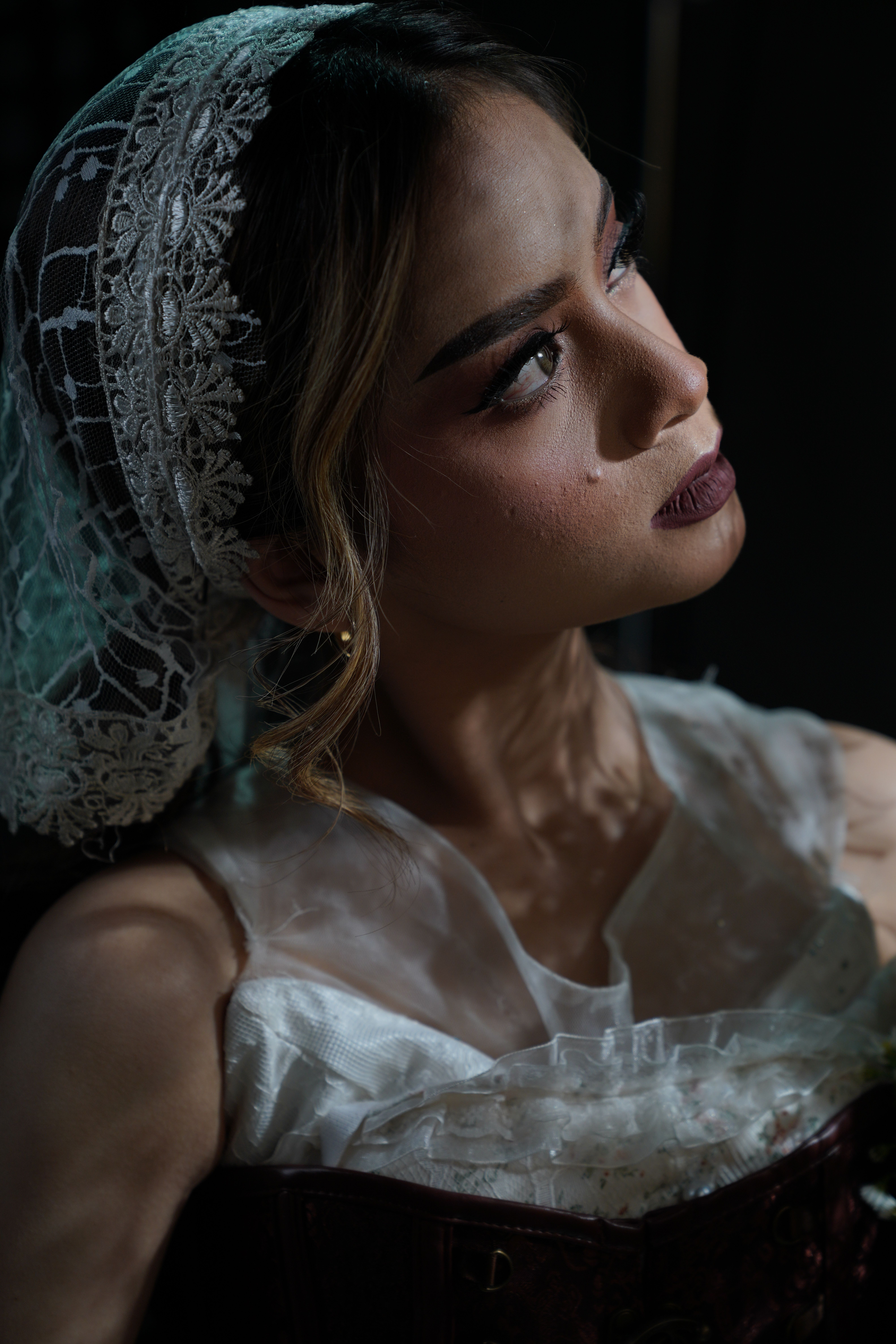Elegant Portrait of a Woman in Lace Veil · Free Stock Photo