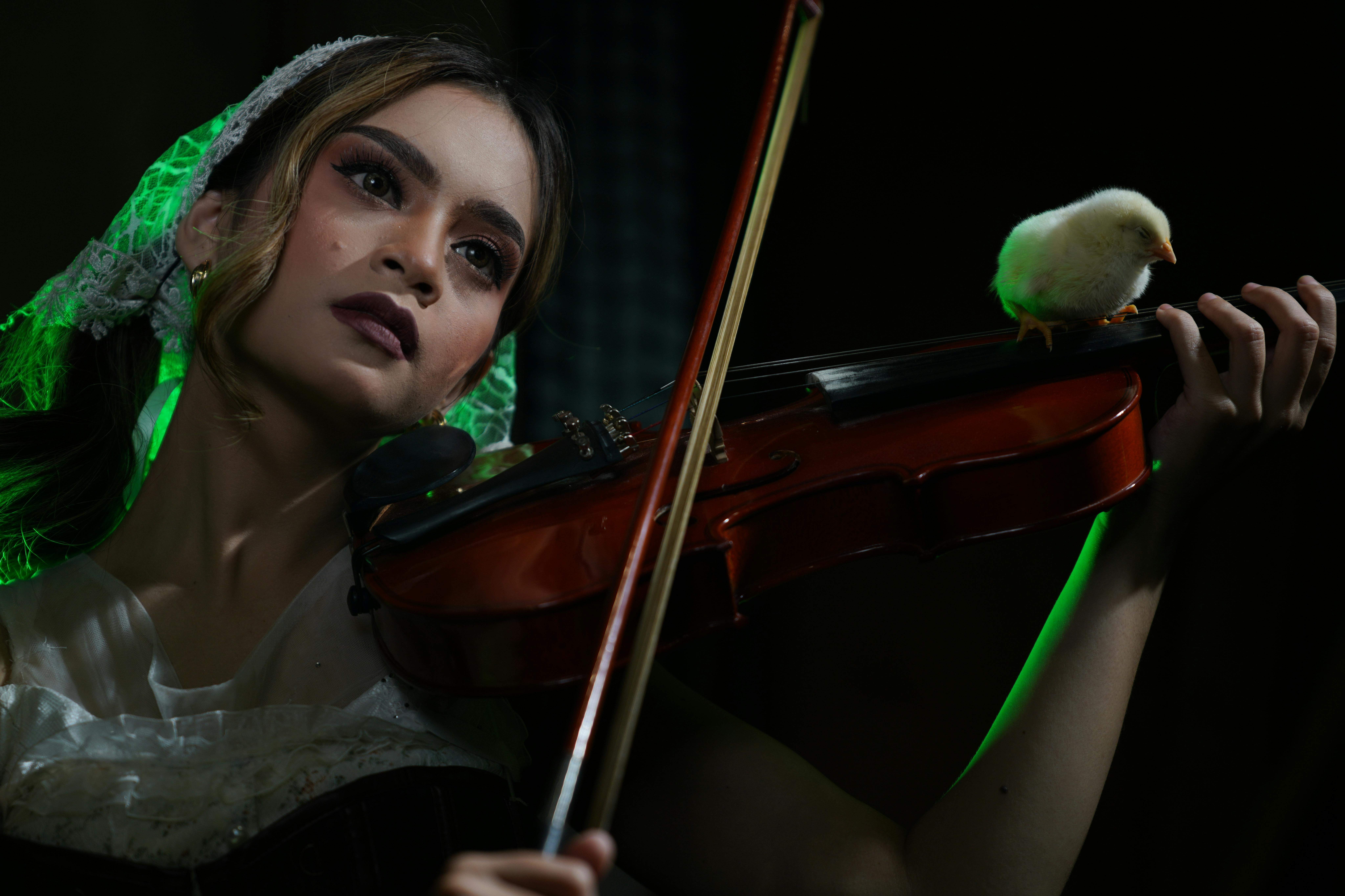 Concert Companion Photos, Download The BEST Free Concert Companion Stock Photos & HD Images