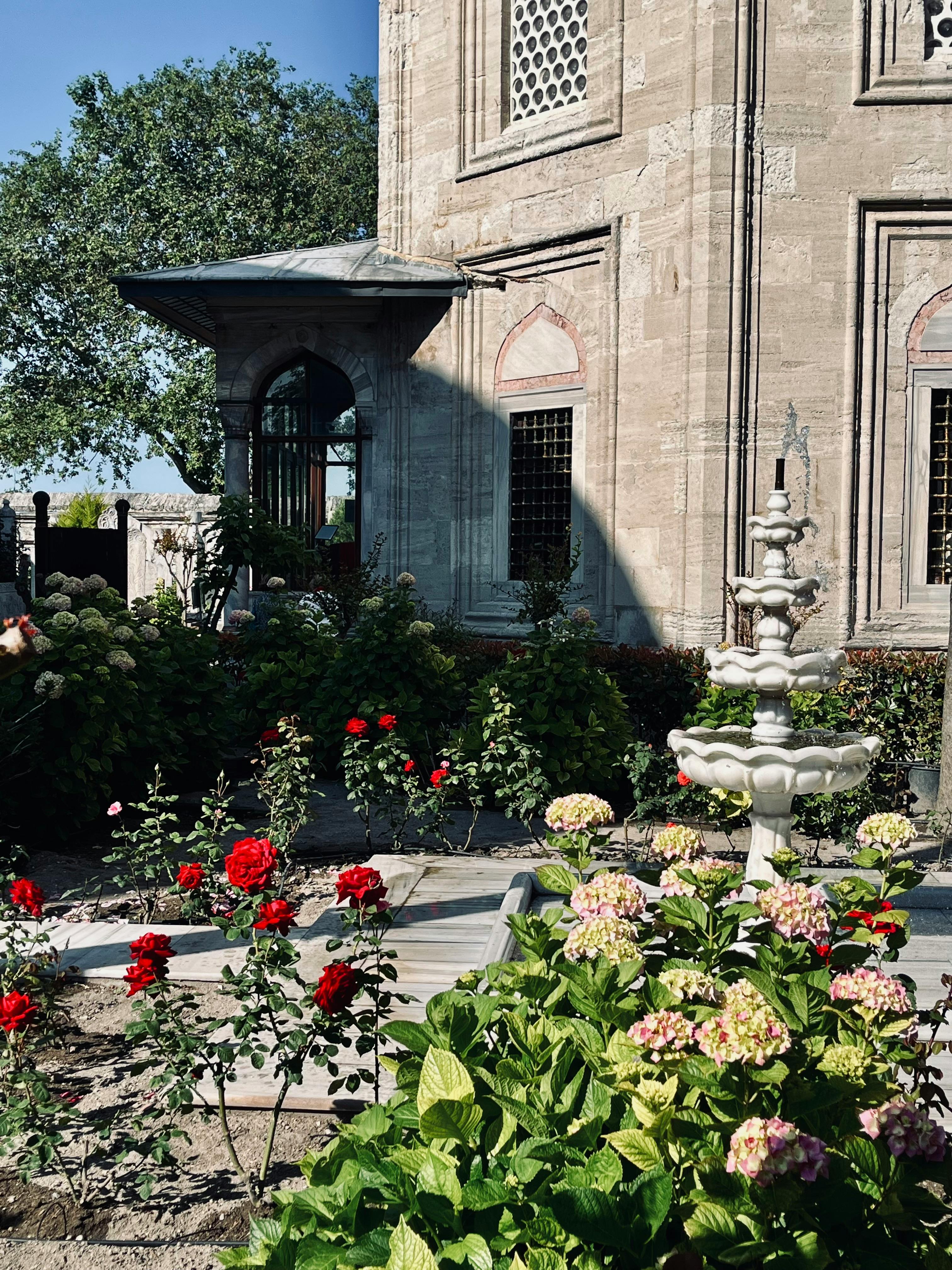 Islamic Flowers Photos, Download The BEST Free Islamic Flowers Stock ...