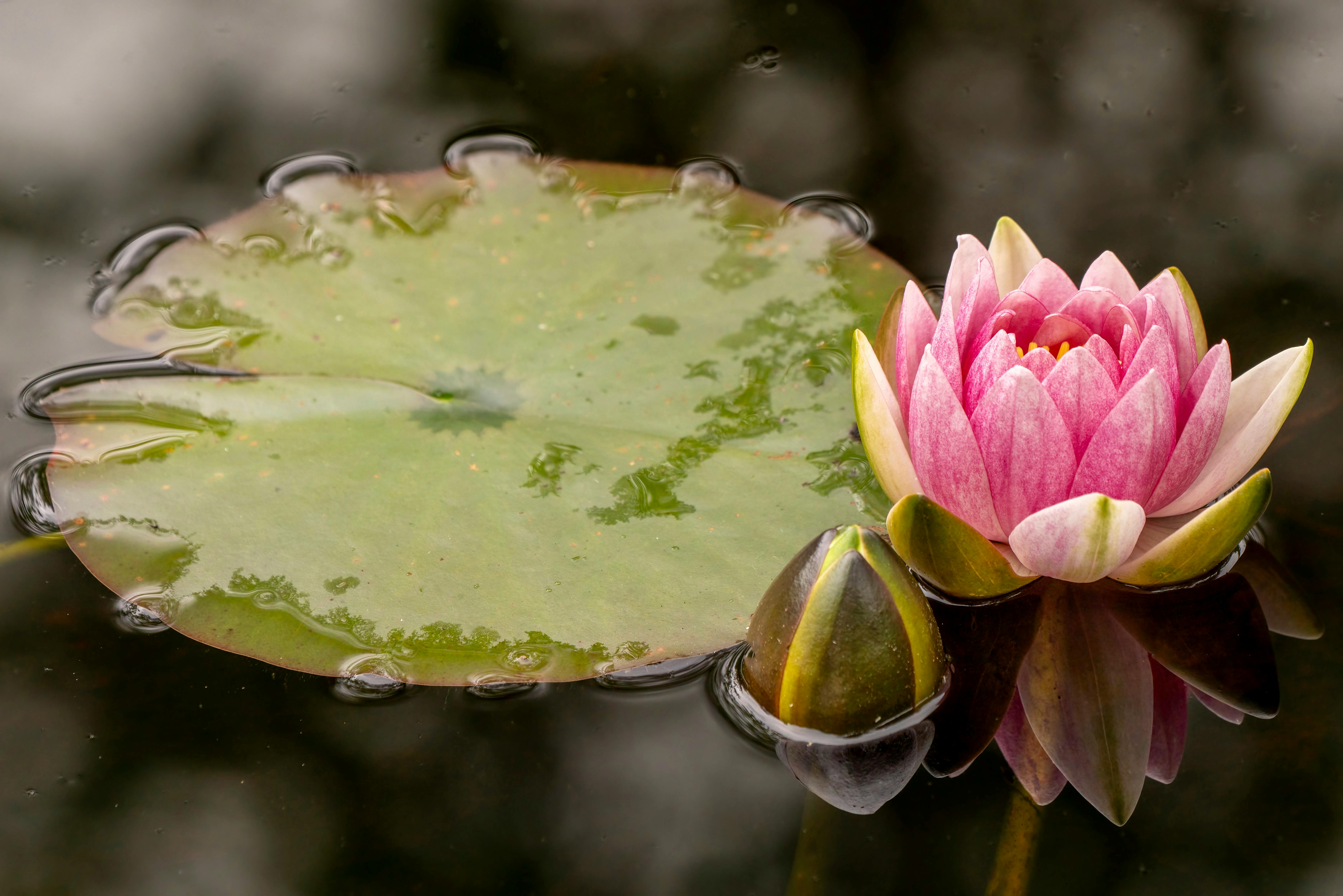 Introduction+Images+For+Presentation Photos, Download The BEST Free ...