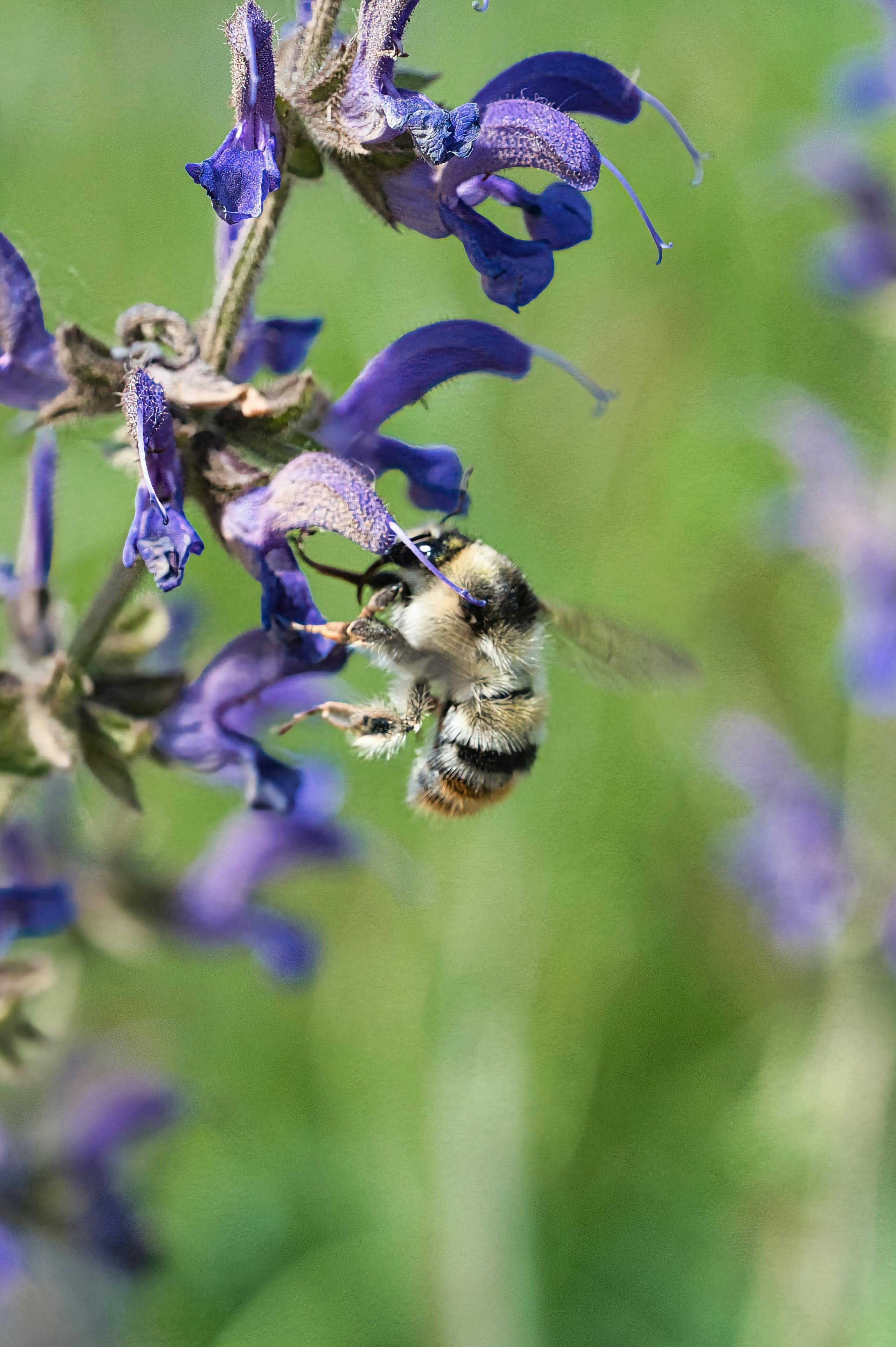 API Console Photos, Download The BEST Free API Console Stock Photos ...