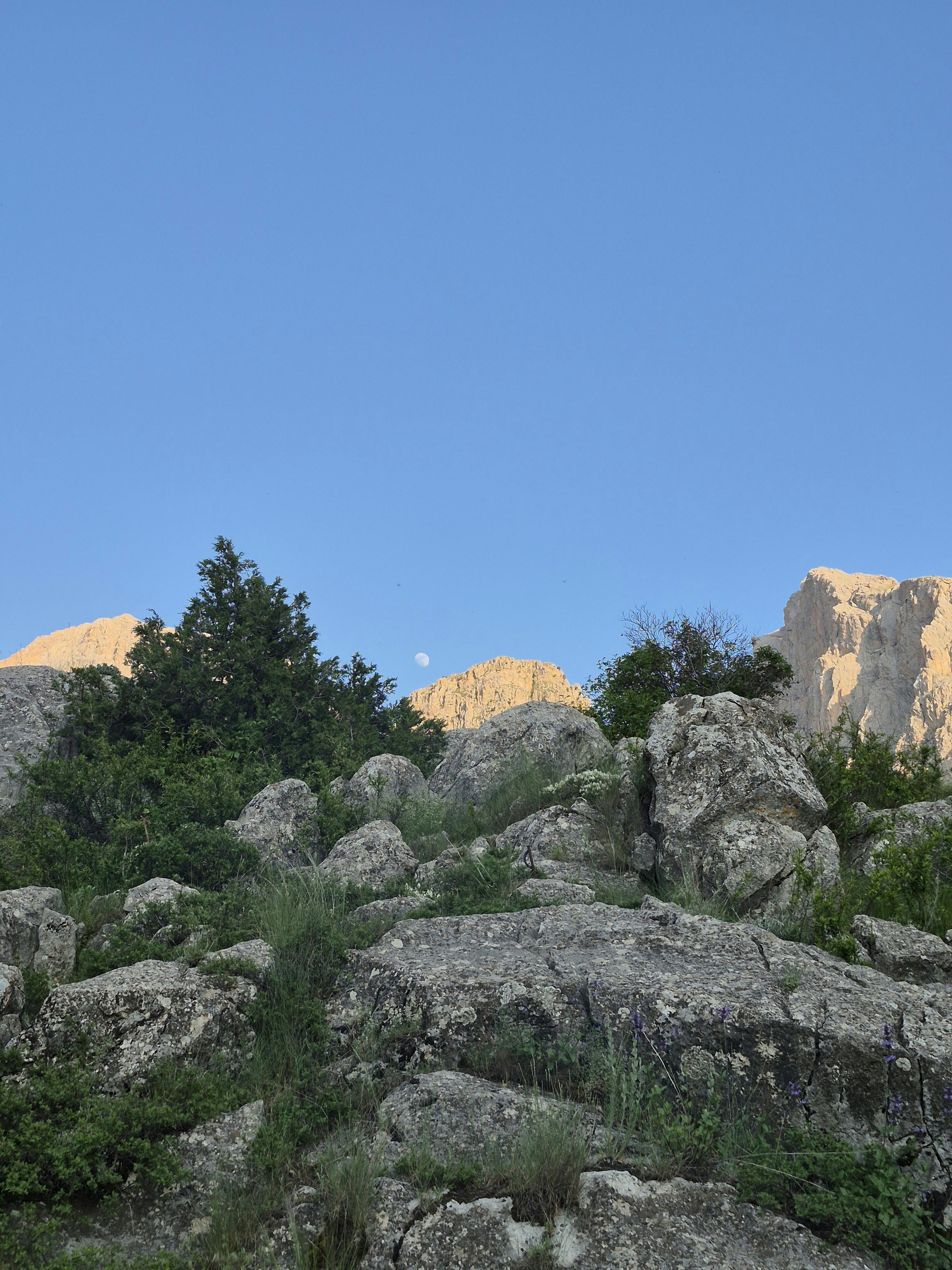 Ground Digine Photos, Download The BEST Free Ground Digine Stock Photos ...