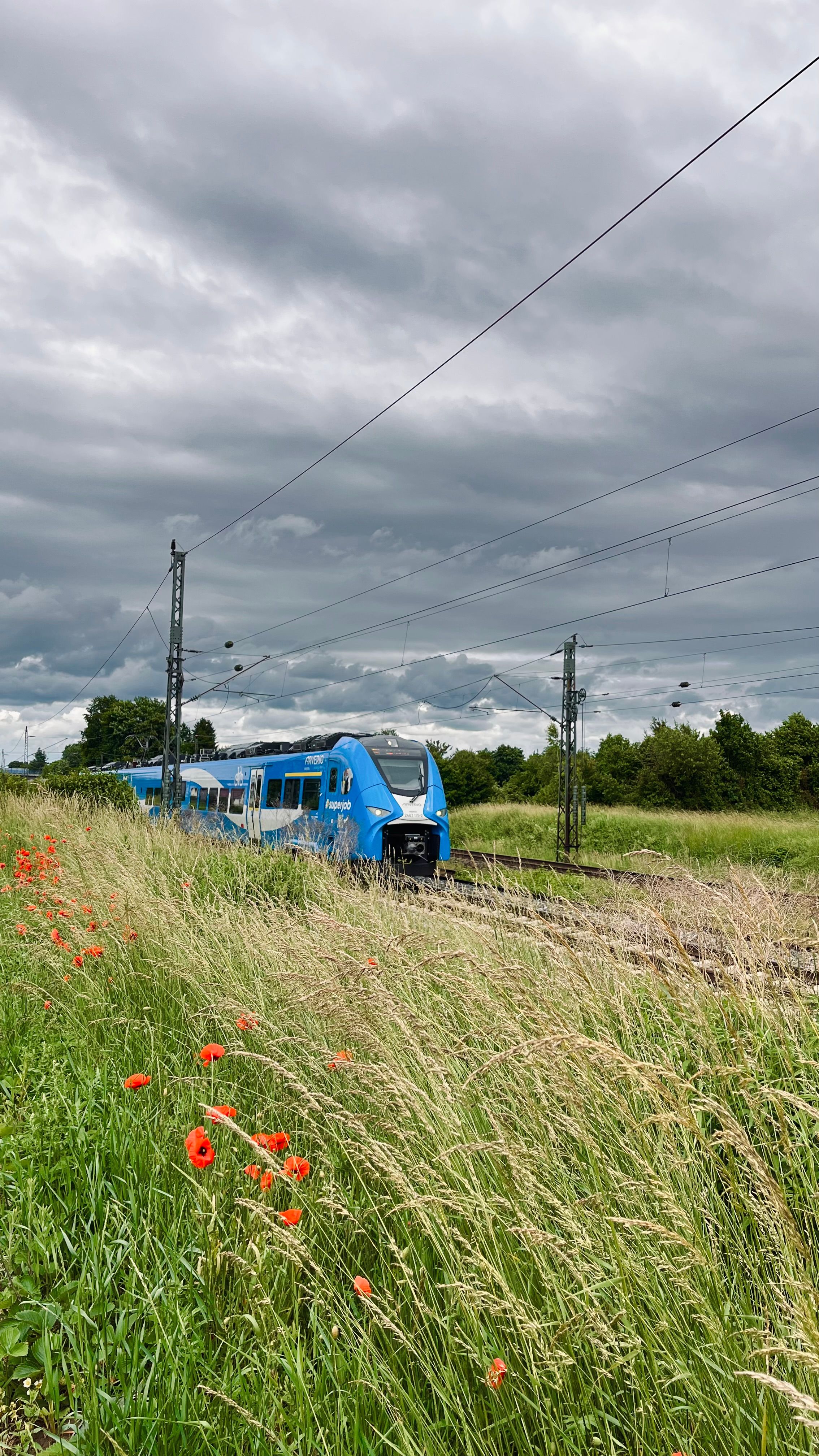 Blue Train Traveling Through Scenic Meadows in Augsburg · Free Stock Photo