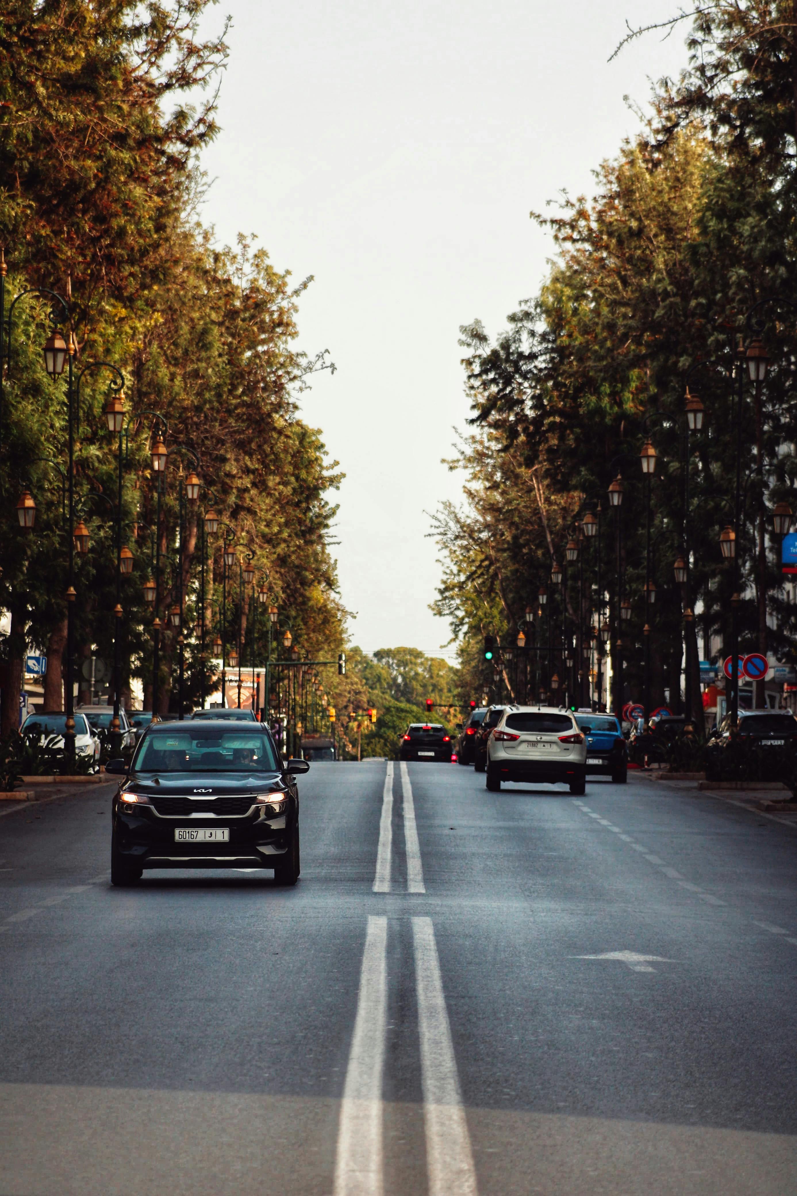 Tree-Lined Urban Street with Moving Cars · Free Stock Photo
