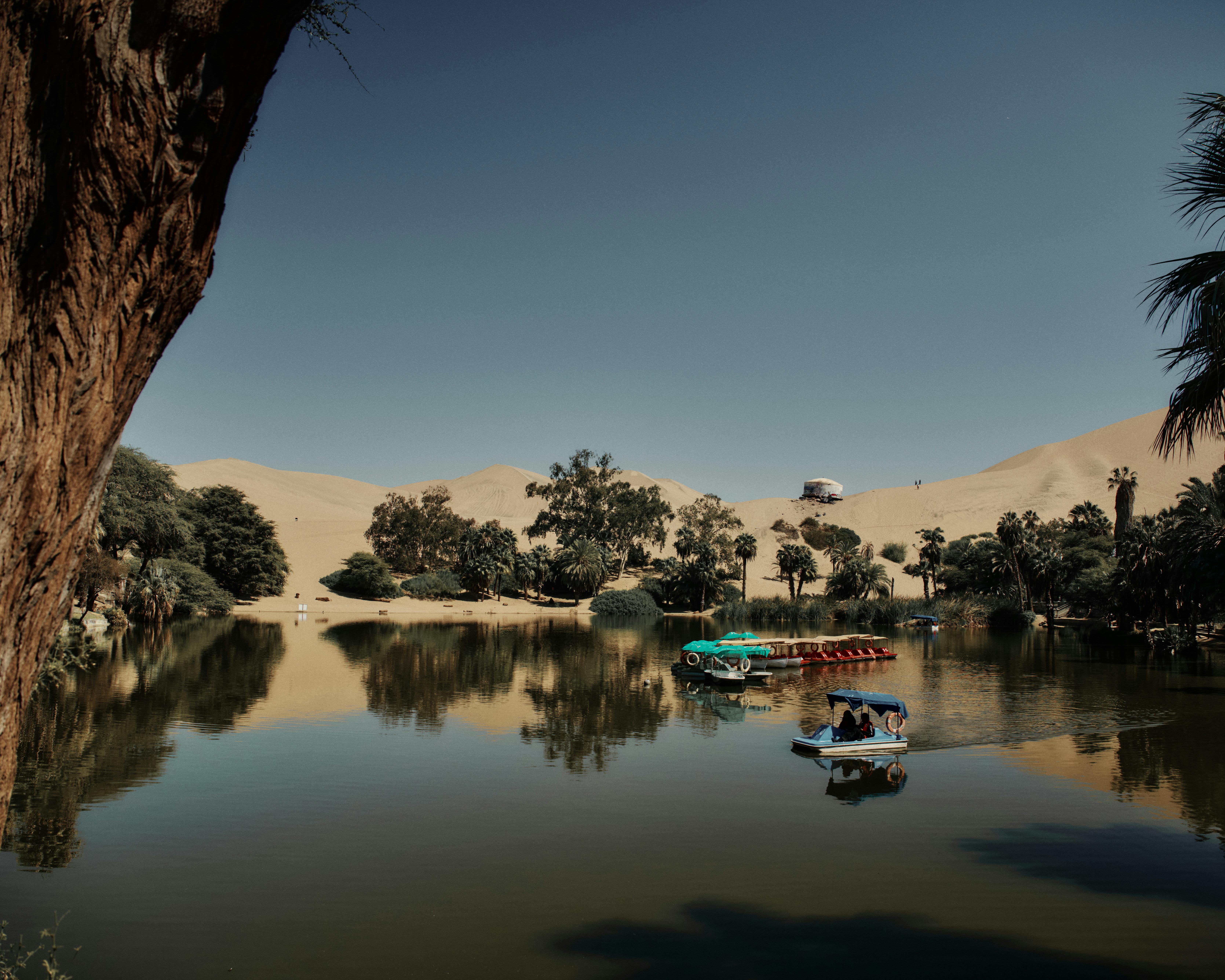 Scenic View of Desert Oasis with Boats · Free Stock Photo