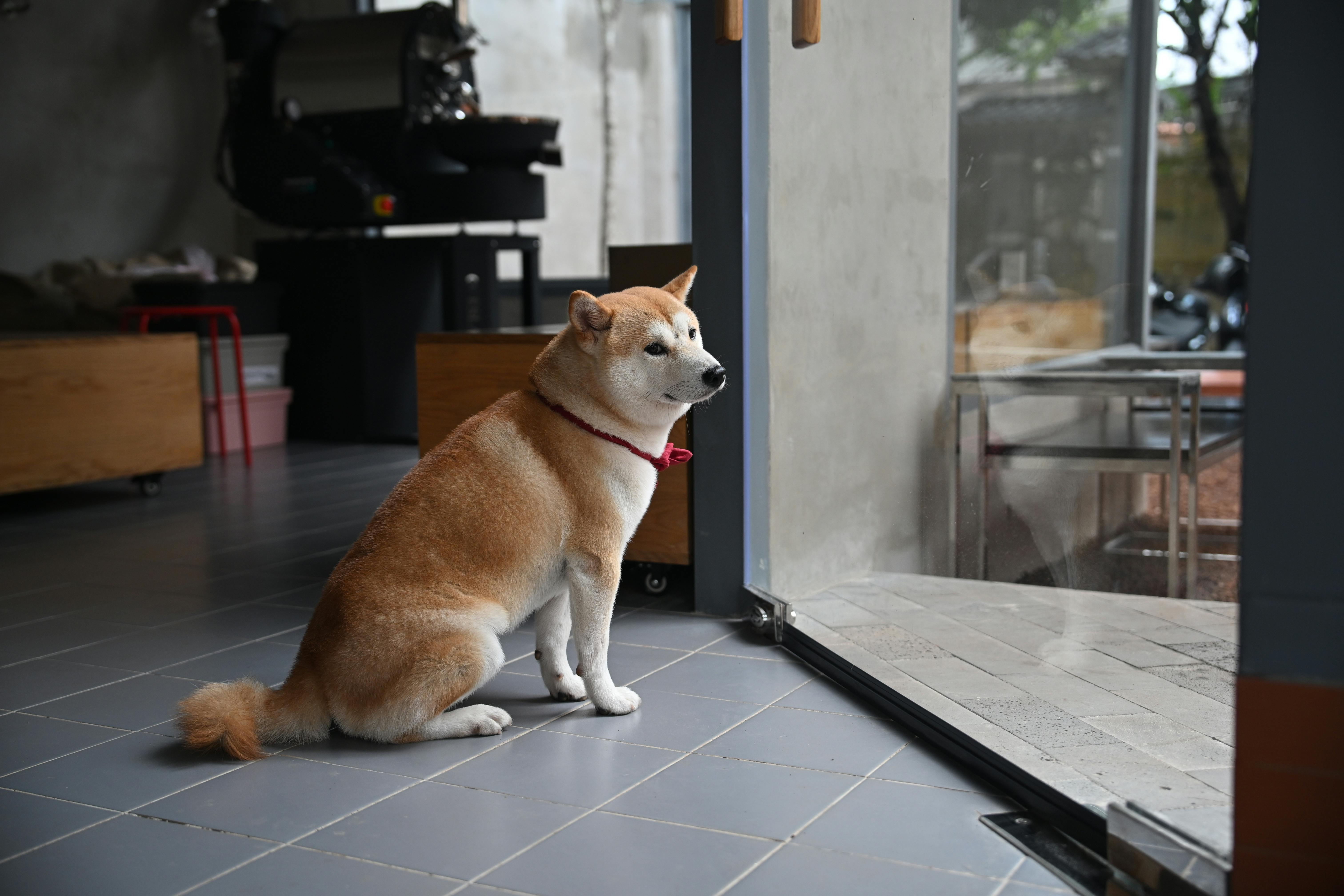 Alert Photos, Download The BEST Free Alert Stock Photos & HD Images