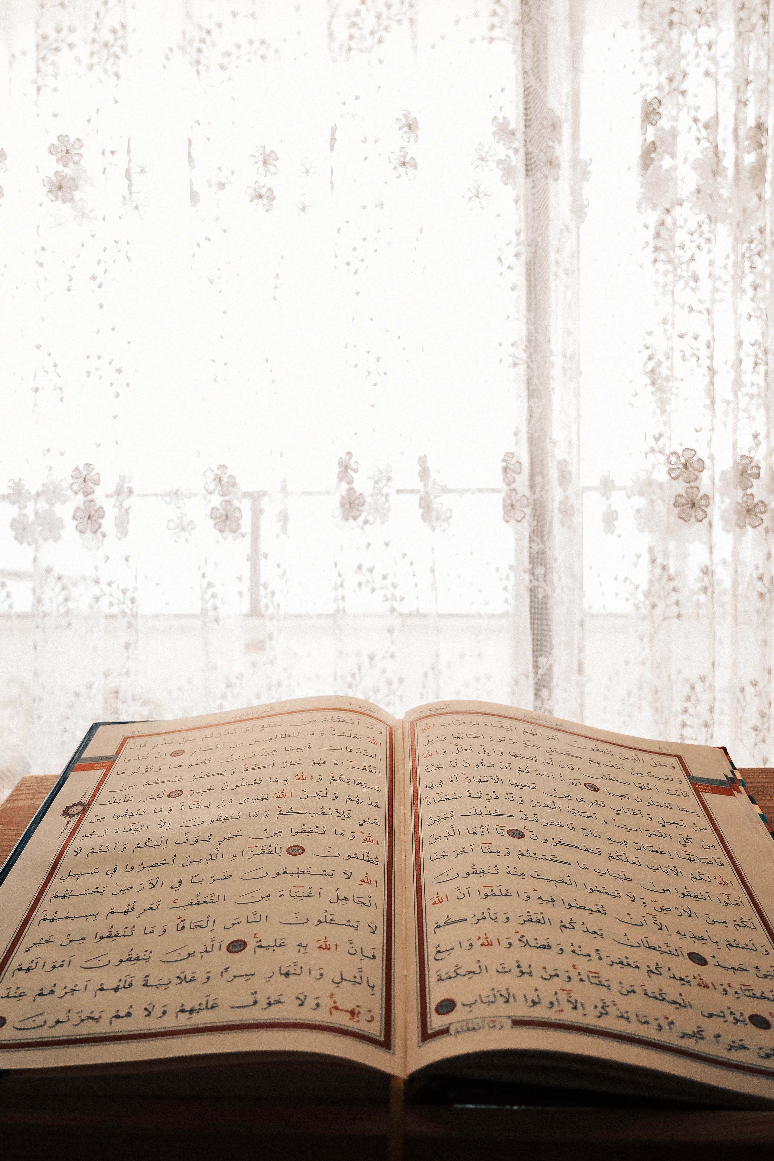 Open Quran on Traditional Stand in Soft Light · Free Stock Photo