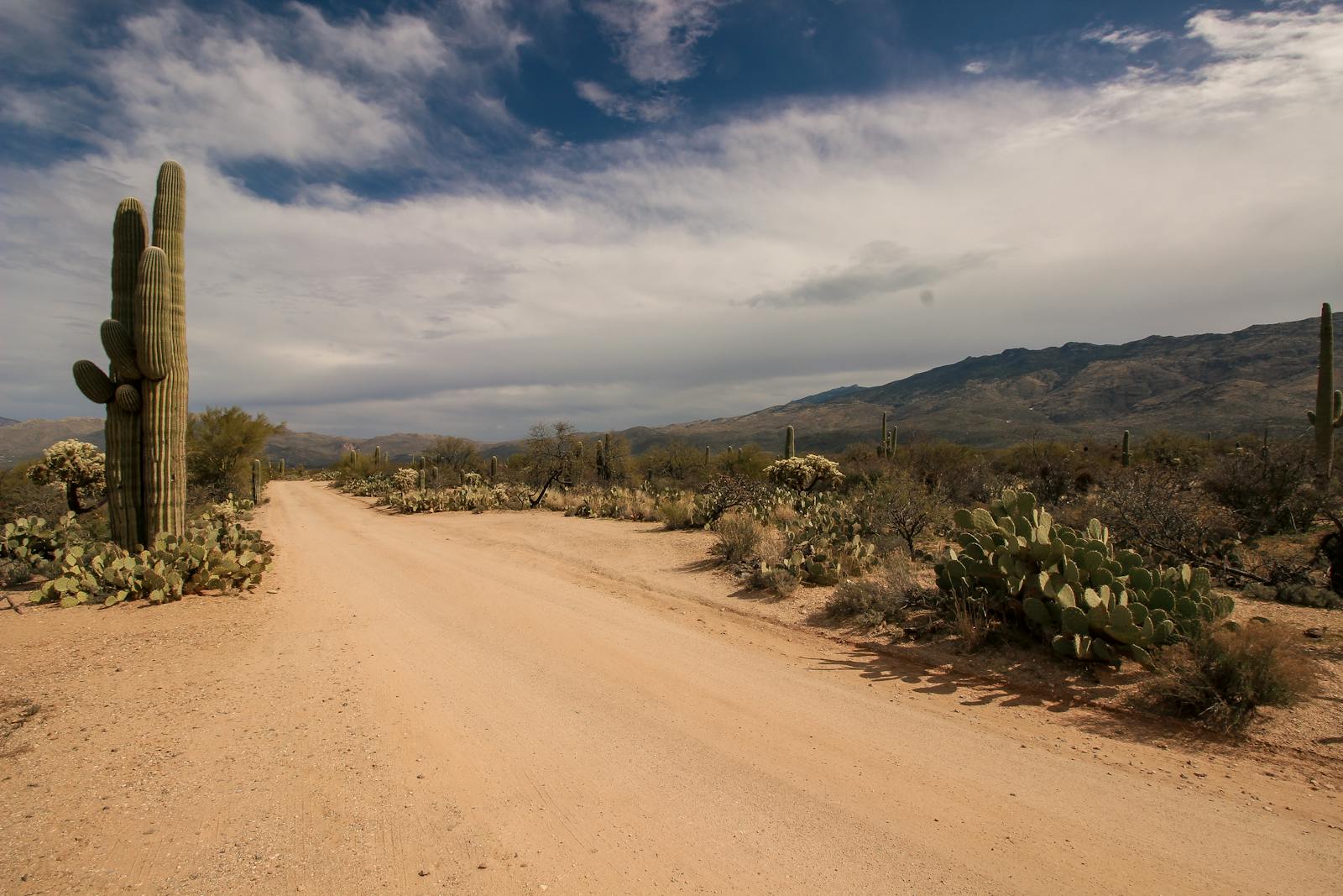 Desert Landscape Photos, Download The BEST Free Desert Landscape Stock ...