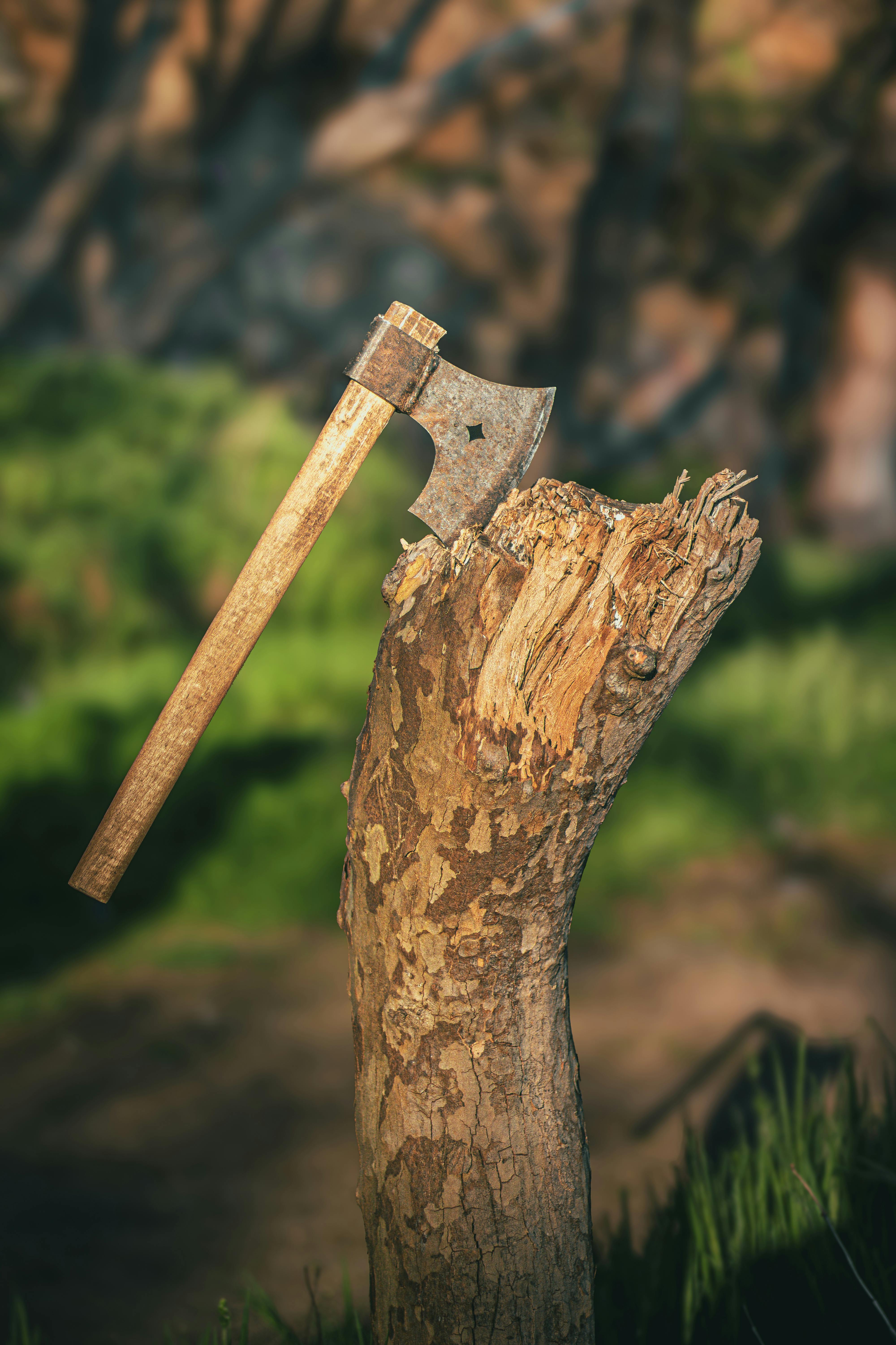 Rustic Axe Embedded in Tree Stump Outdoors · Free Stock Photo