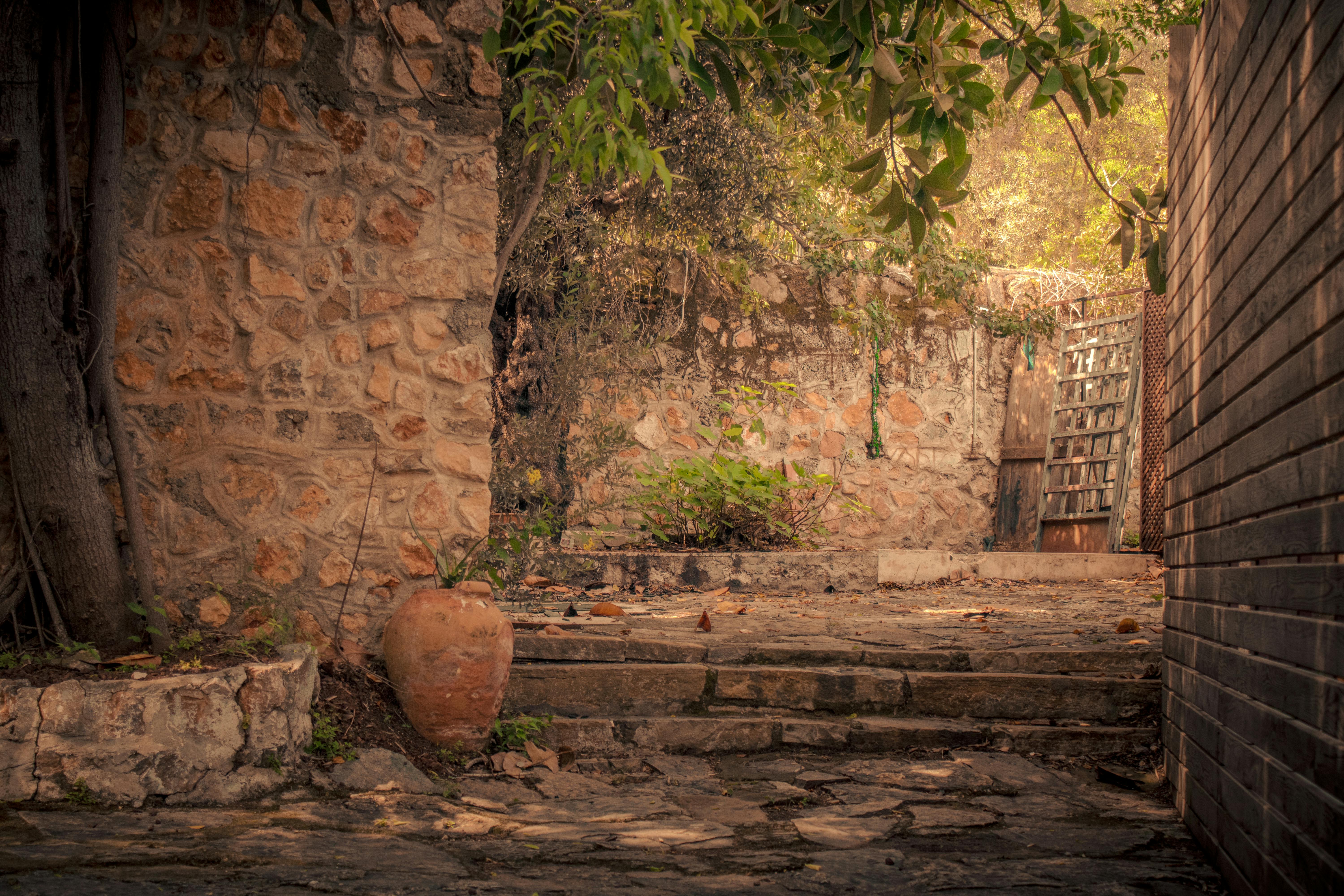 Charming Rustic Stone Pathway in Sunlit Garden · Free Stock Photo