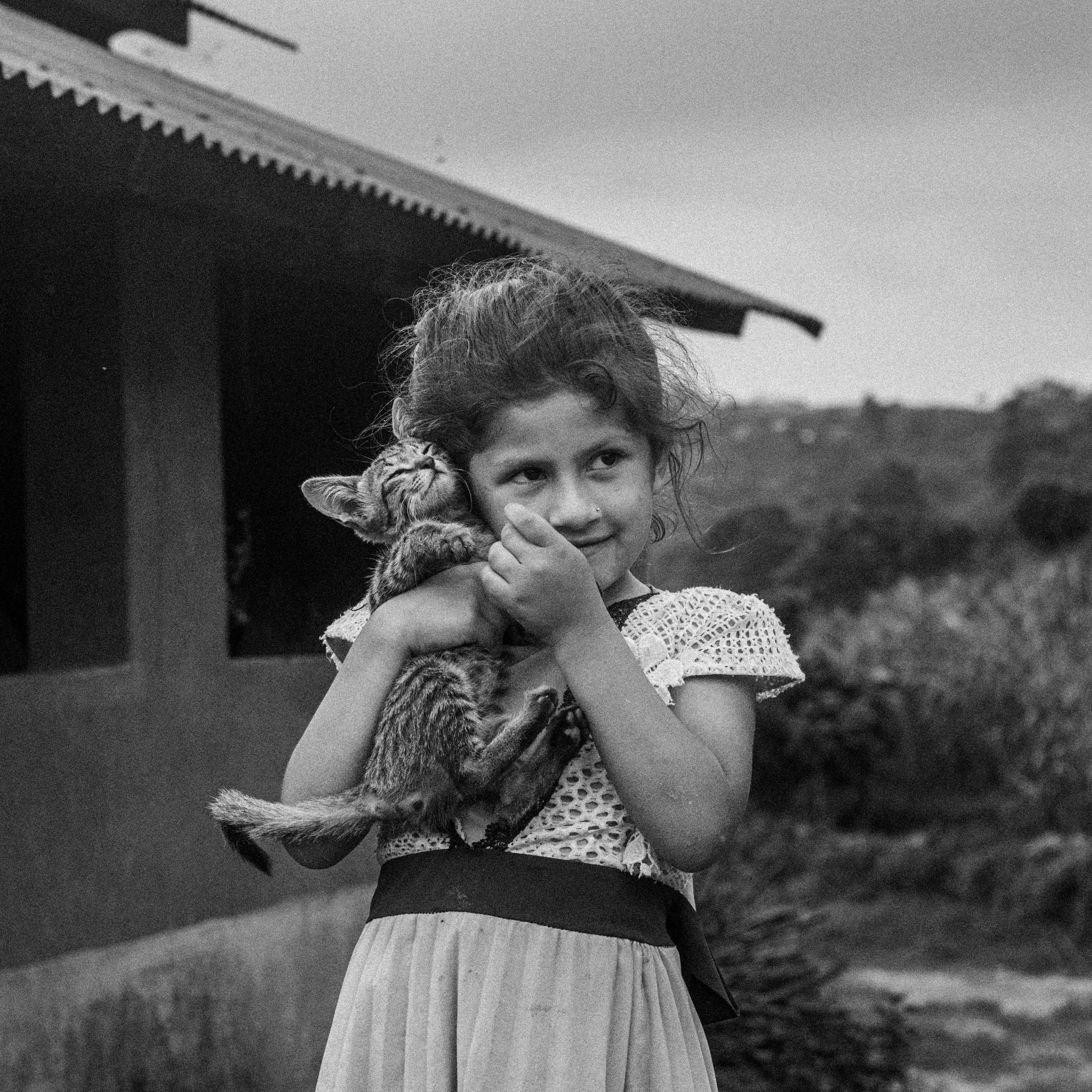 B&W Photos, Download The BEST Free B&W Stock Photos & HD Images