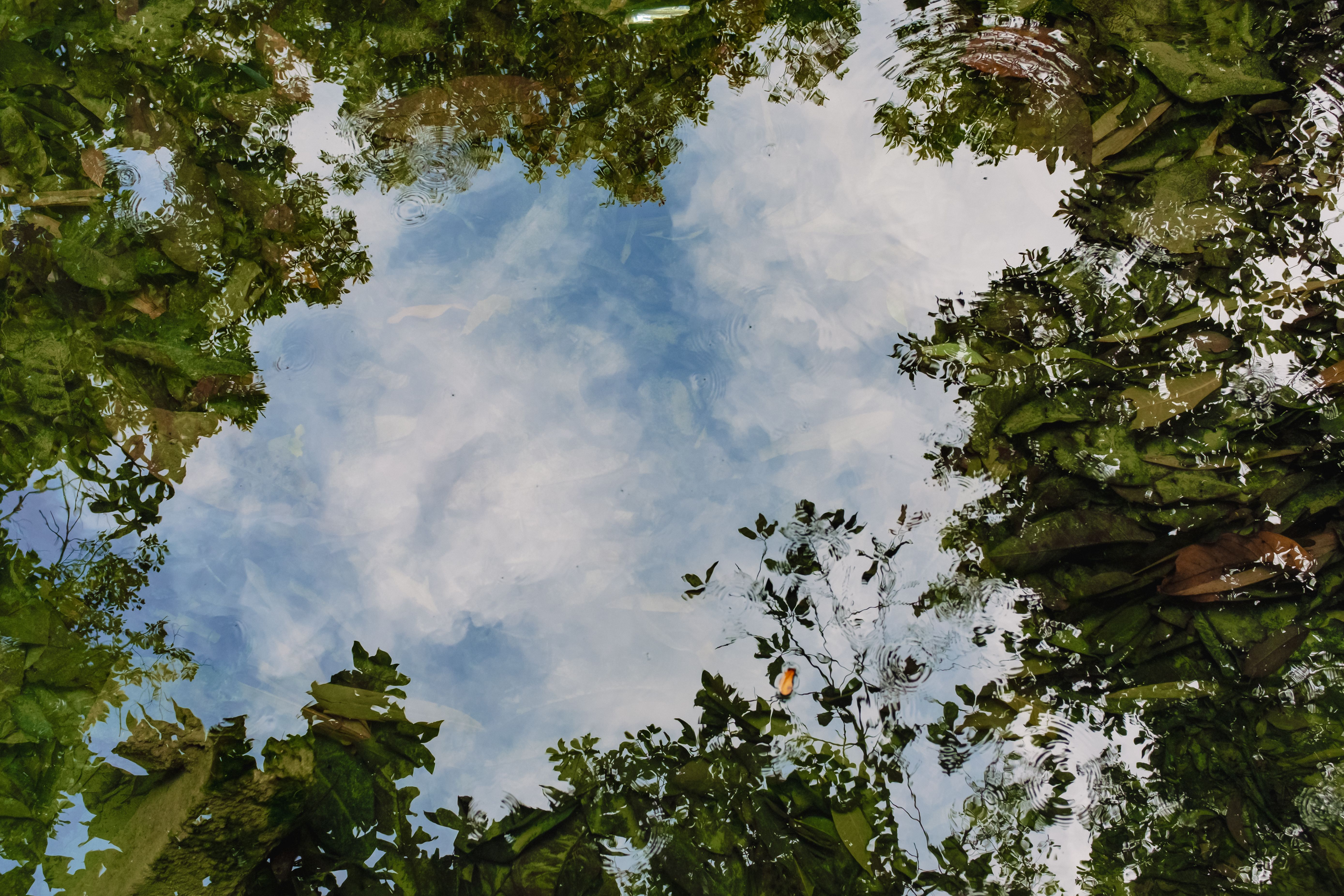 Ambient Environments Photos, Download The BEST Free Ambient ...