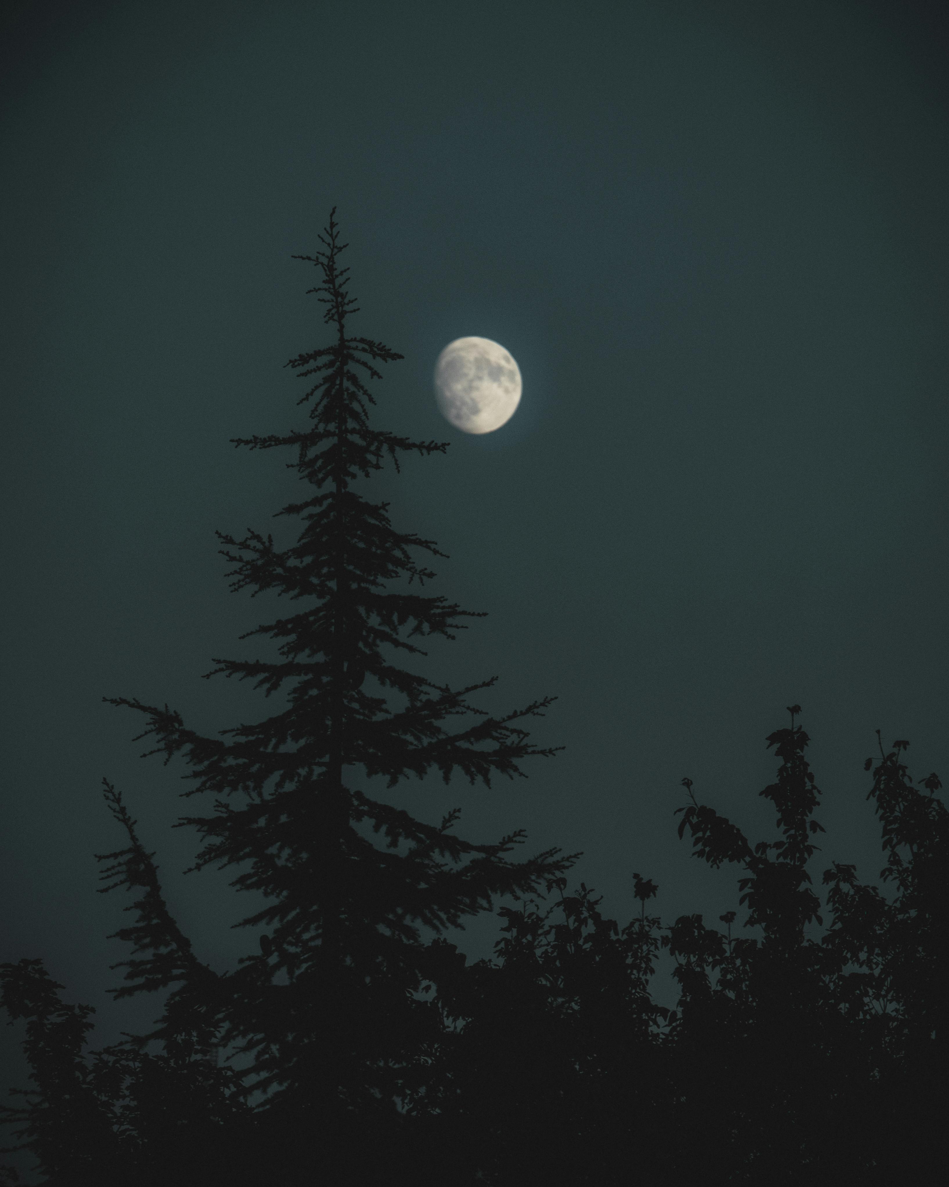 Rainy Night At Seabeach With Moon Photos, Download The BEST Free Rainy ...