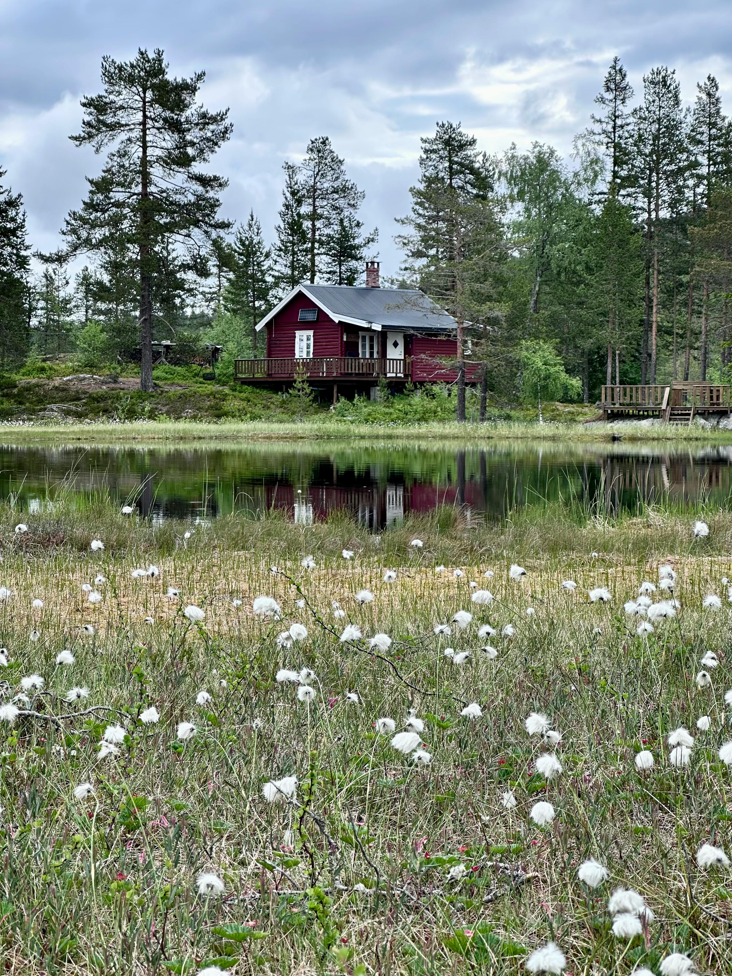 Wooden Cottage In Forest Cinderella Photos, Download The BEST Free ...