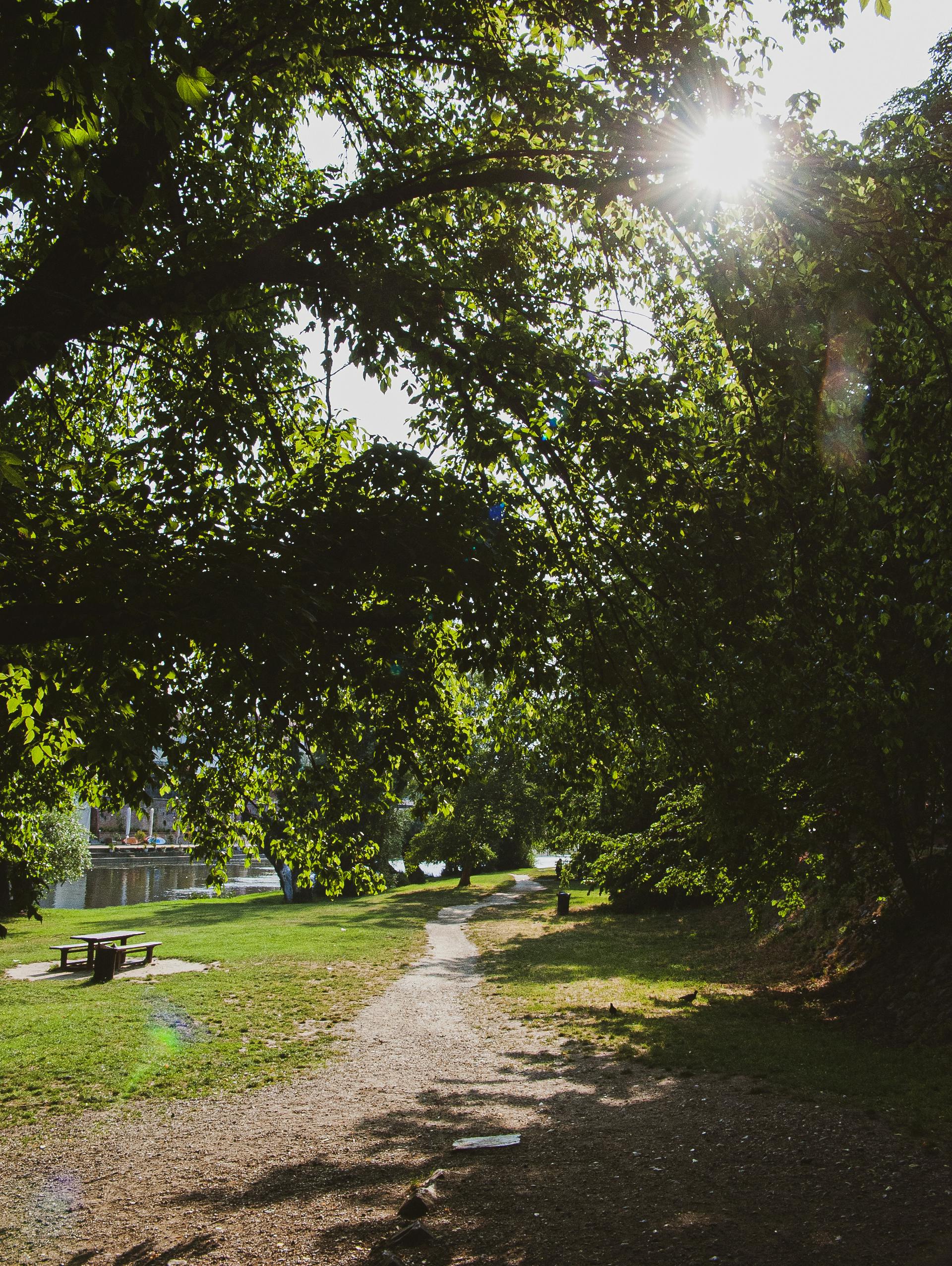 Sunny Riverside Pathway Through Lush Green Park · Free Stock Photo